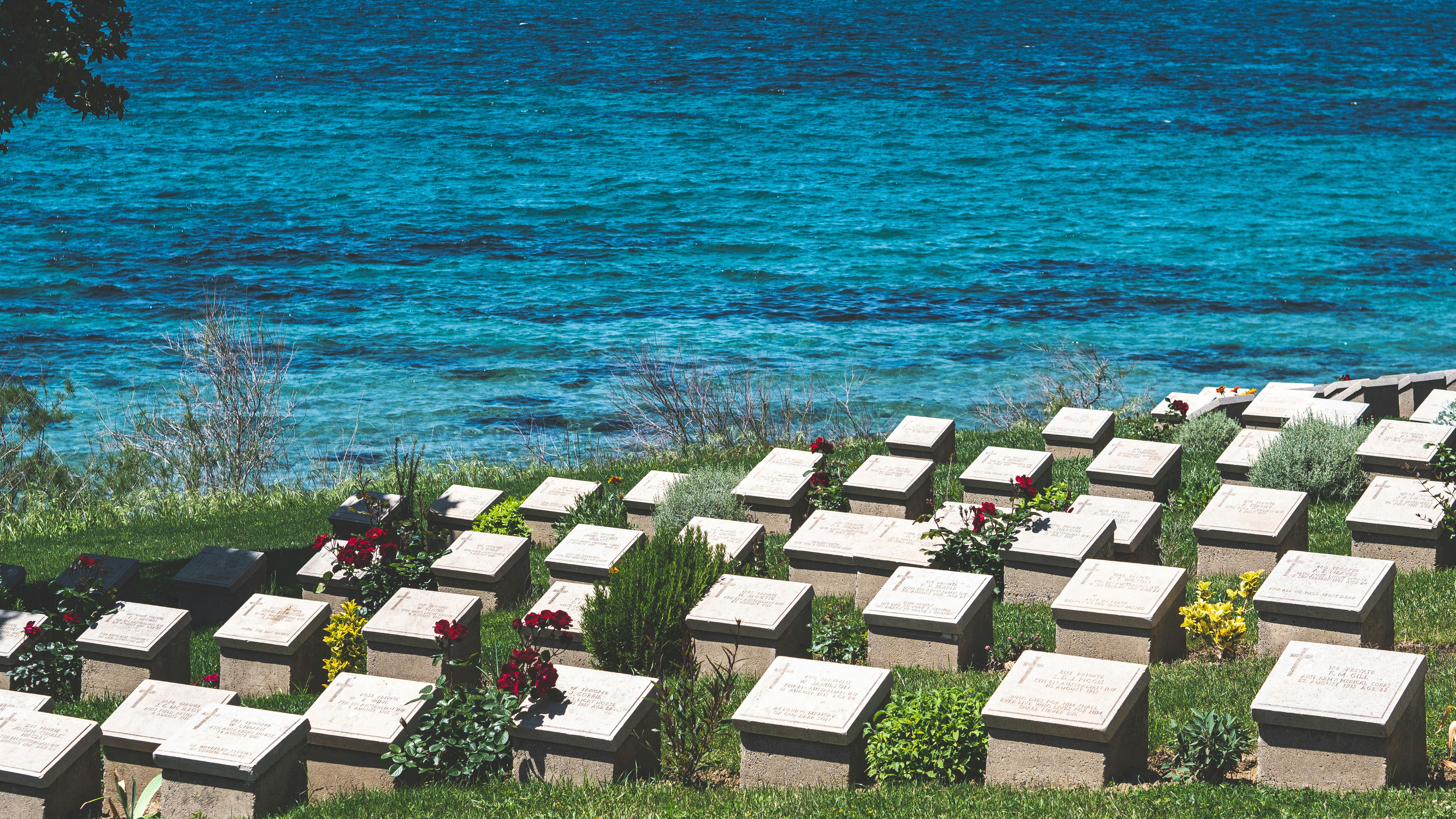 A bunch of benches sitting on top of a grass covered field