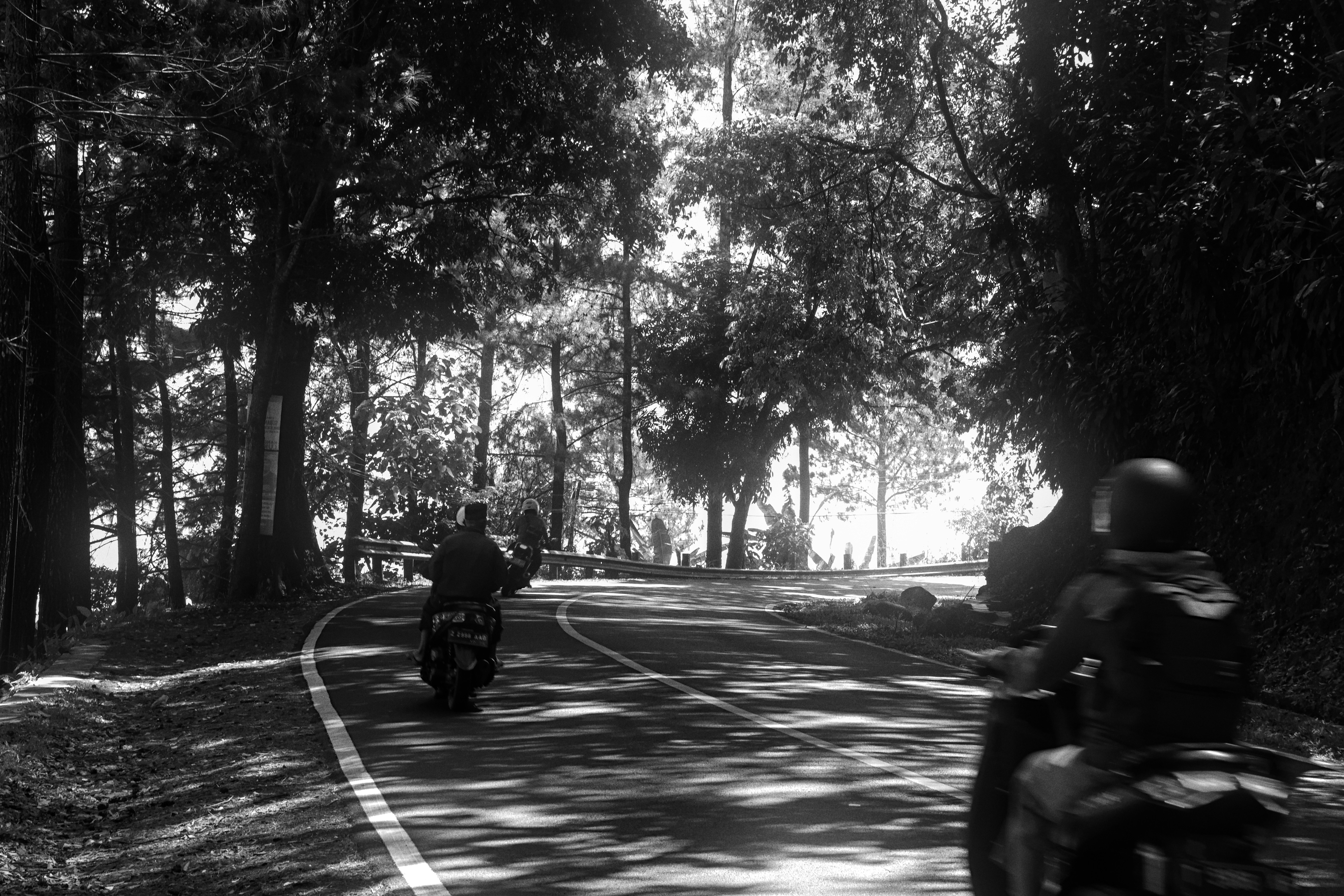Motorcyclists riding through a forested road with dappled sunlight filtering through the trees.