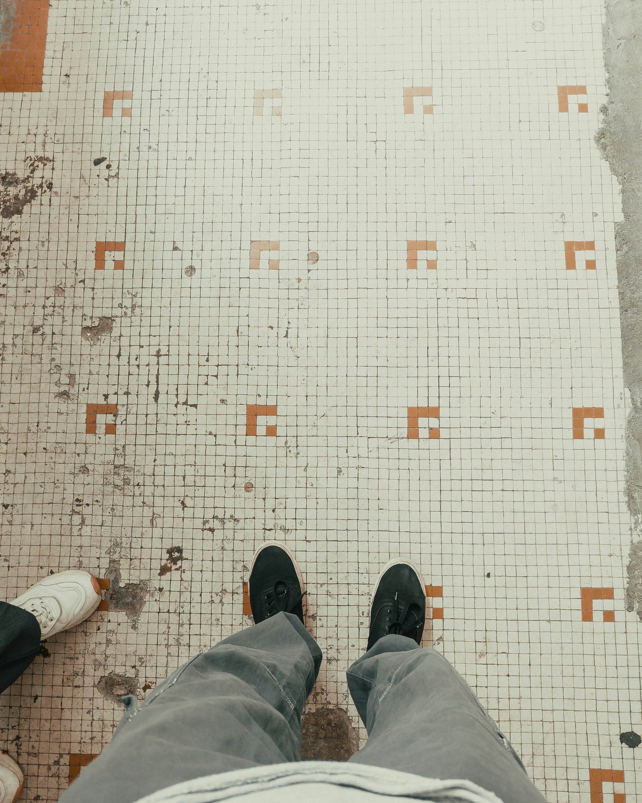 Photo by Dexter Fernandes with Google Pixel 7