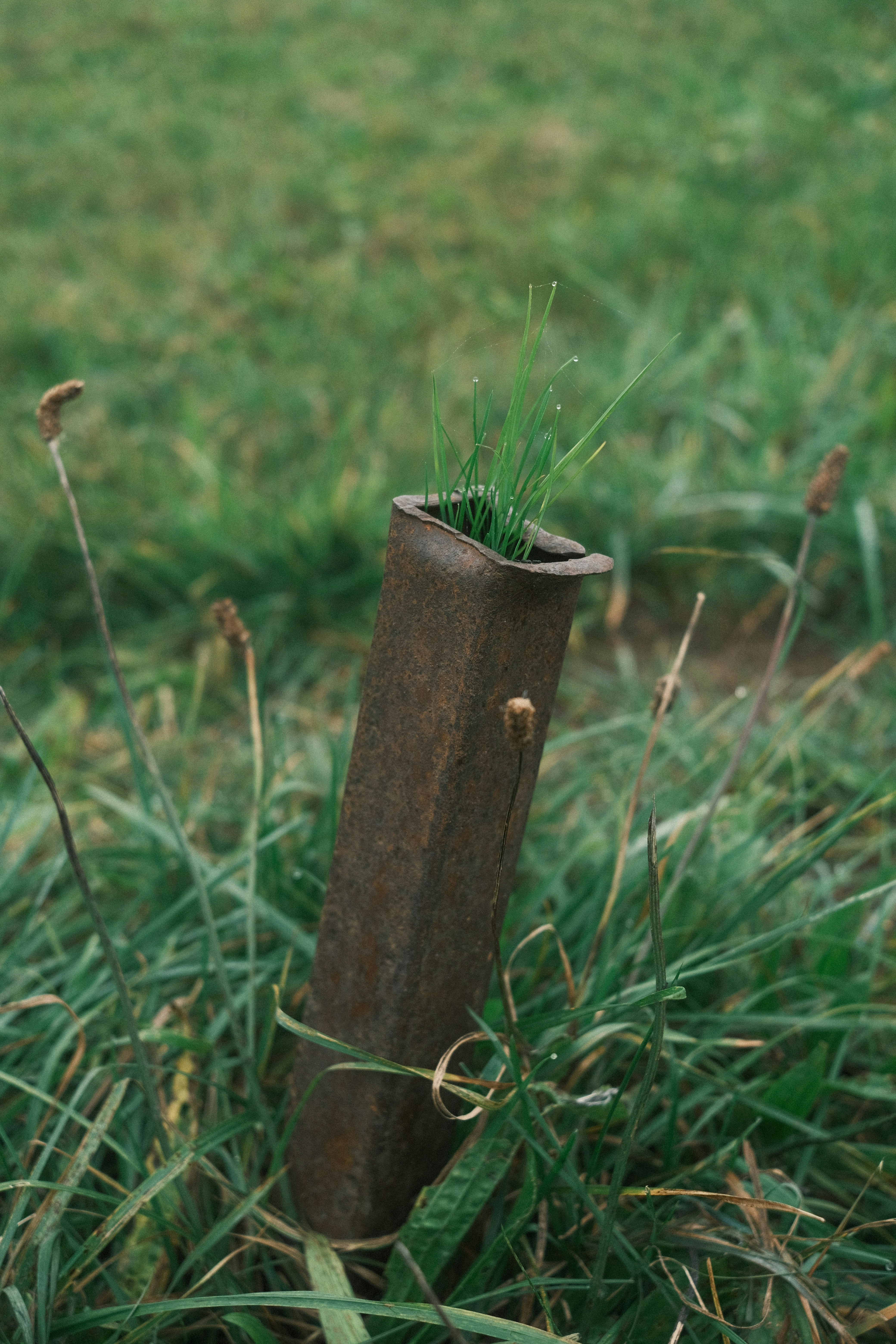 Rusty Cylinder Reclaims the Field: Grass Grows from the Tip