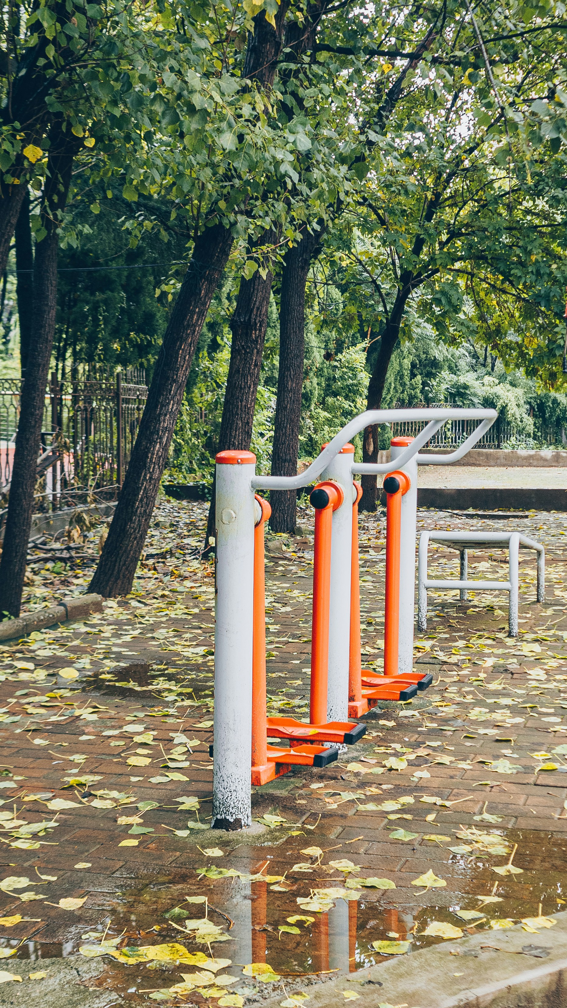 Orange-Accented Exercise Apparatus in a Quiet Park