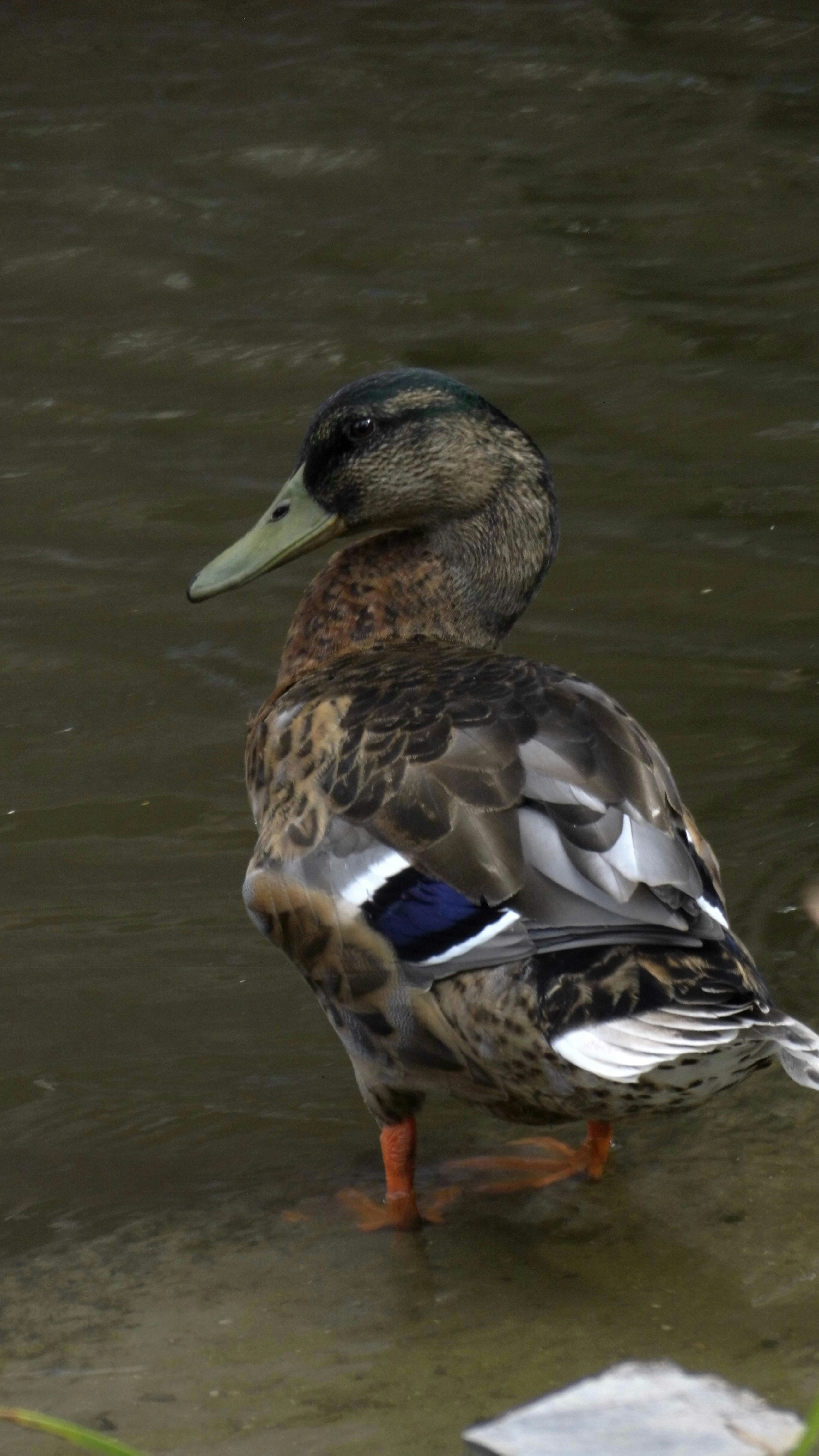 Lynn van Dam (@lvdam) | Unsplash Photo Community