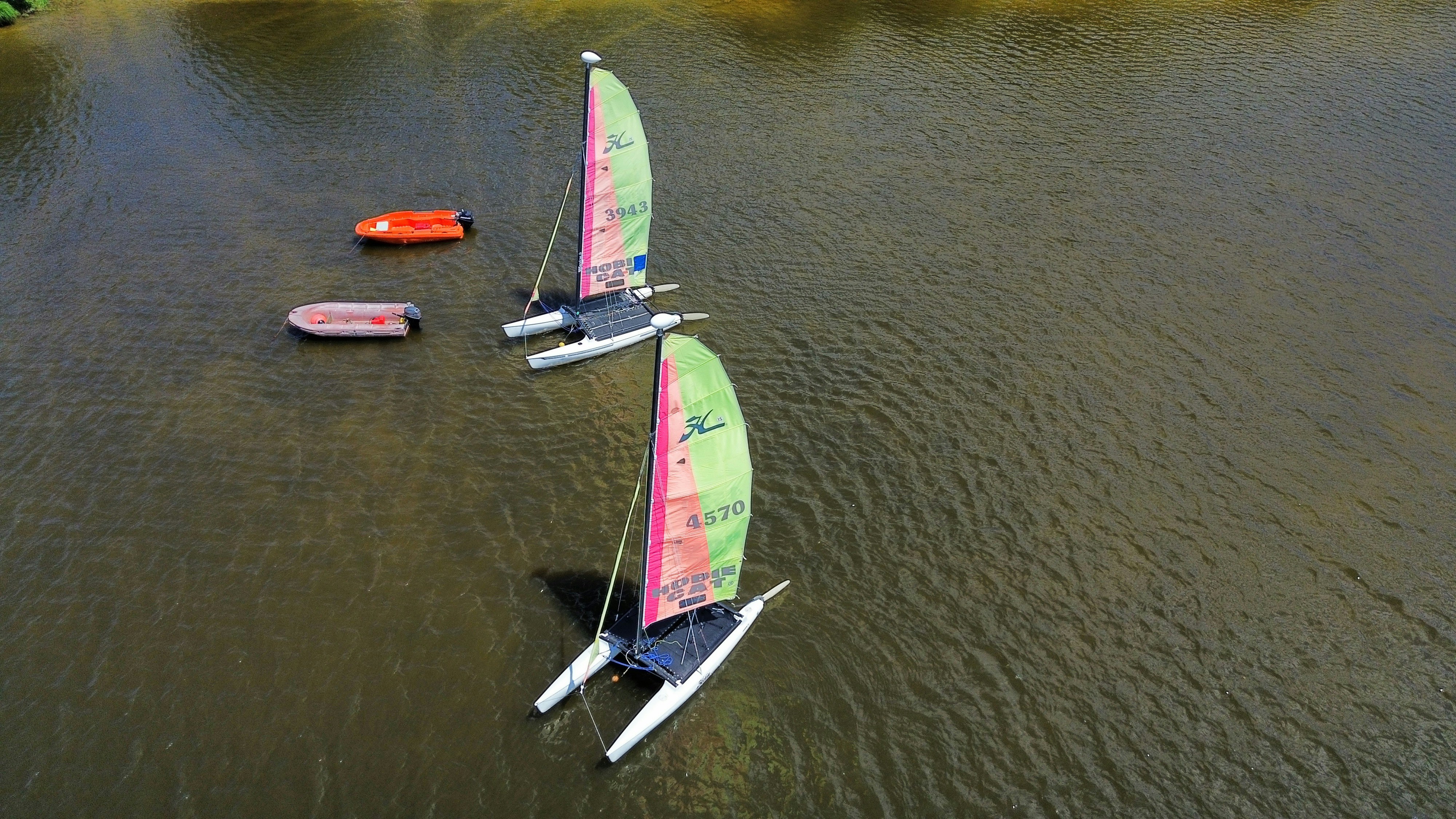Colorful Catamarans on Tranquil Waters