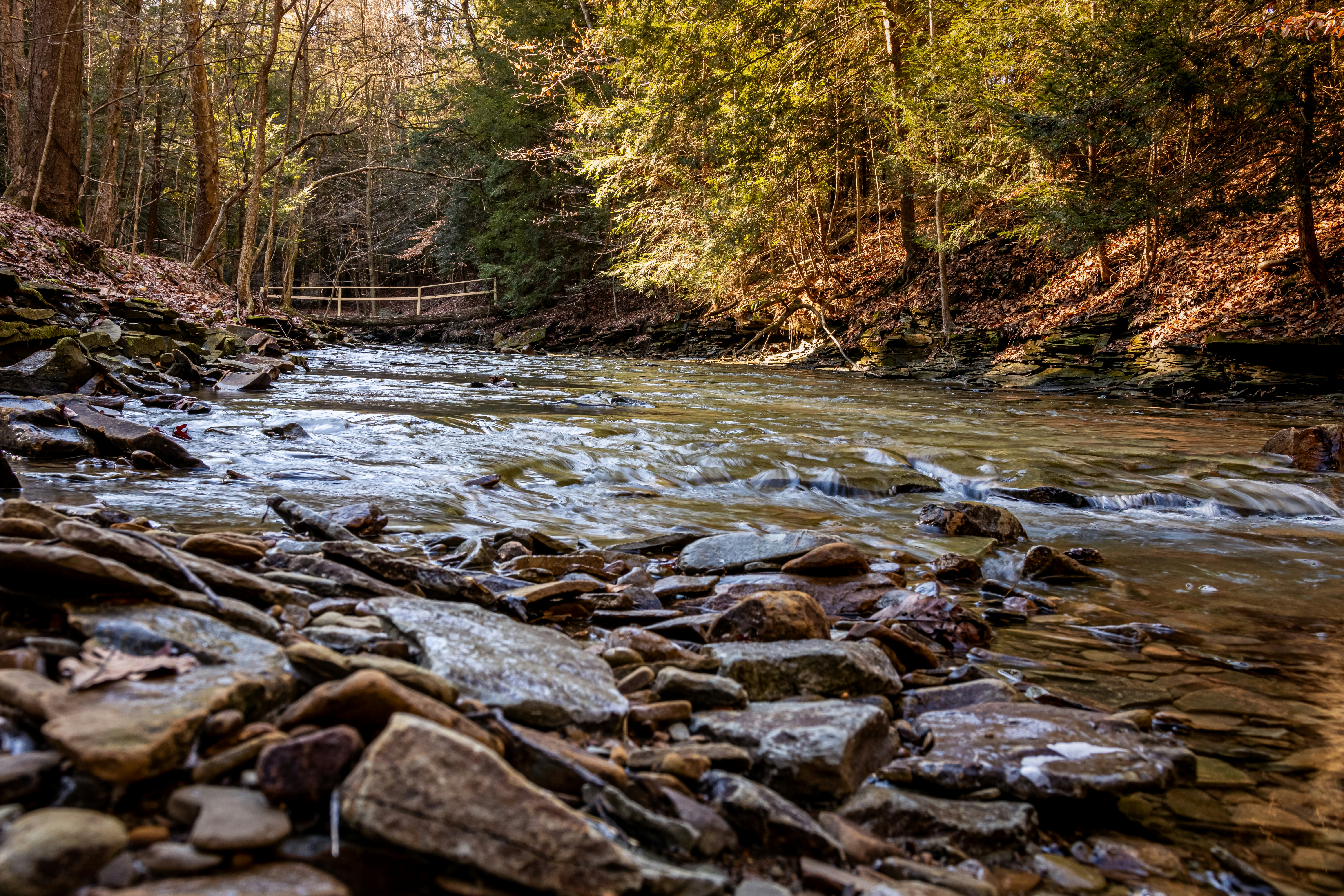River flowing over smooth rocks in a sunlit forest.