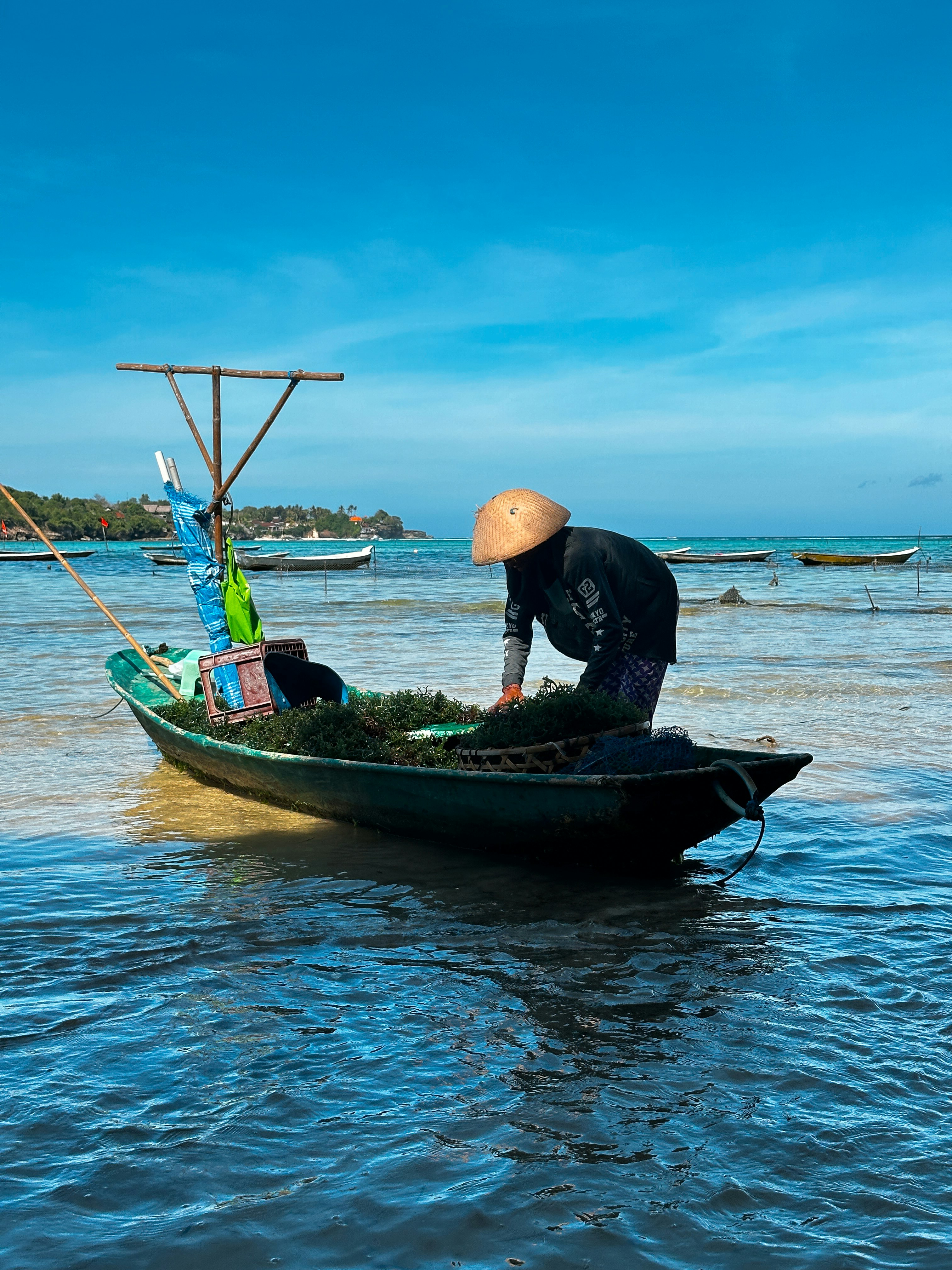 Conical-Hat Fisher Harvests Seaweed in a Sunlit Coastal Boat
