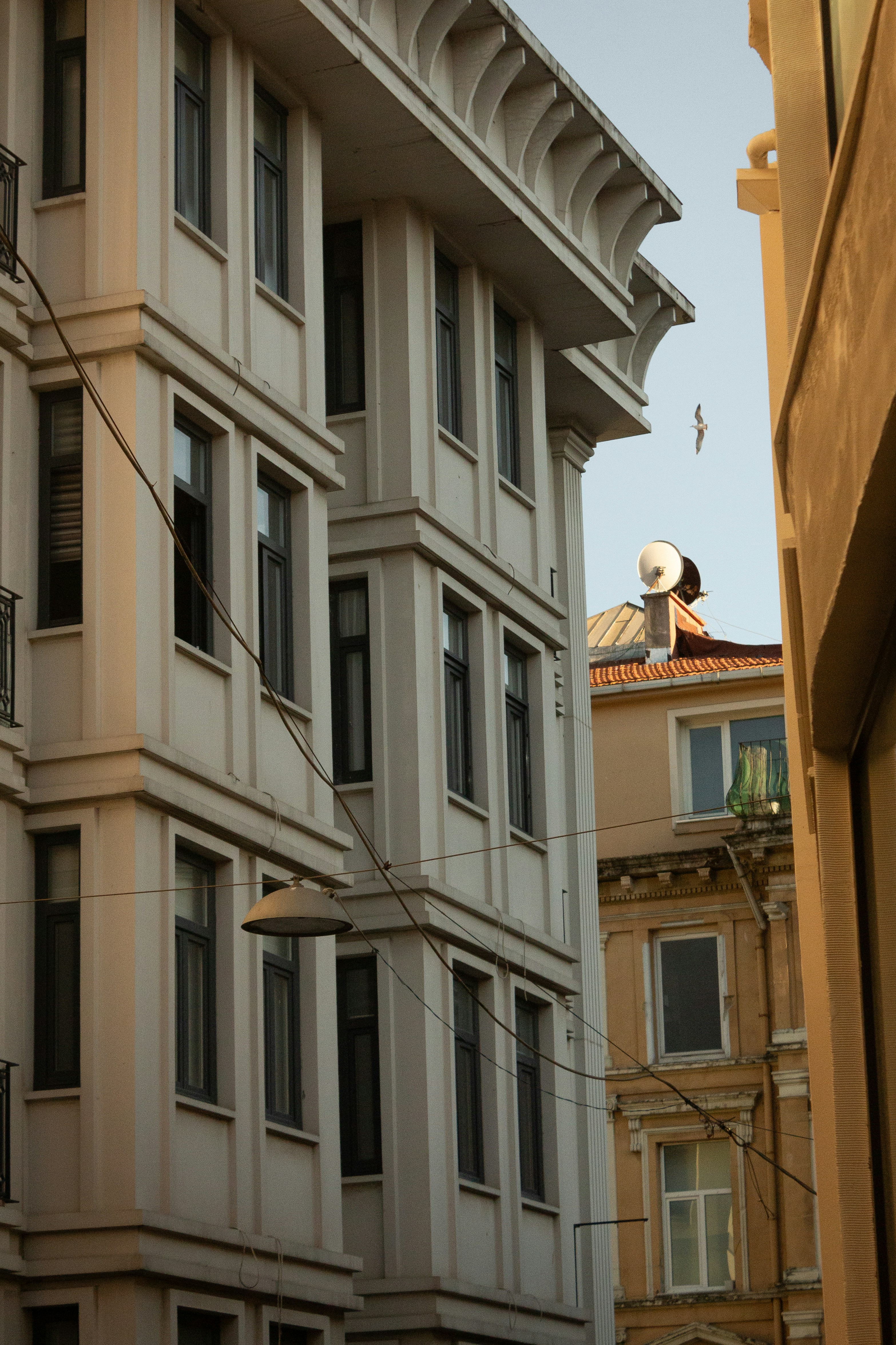 Gull in the Urban Gorge: Sunlit Facades and a Winding Sky