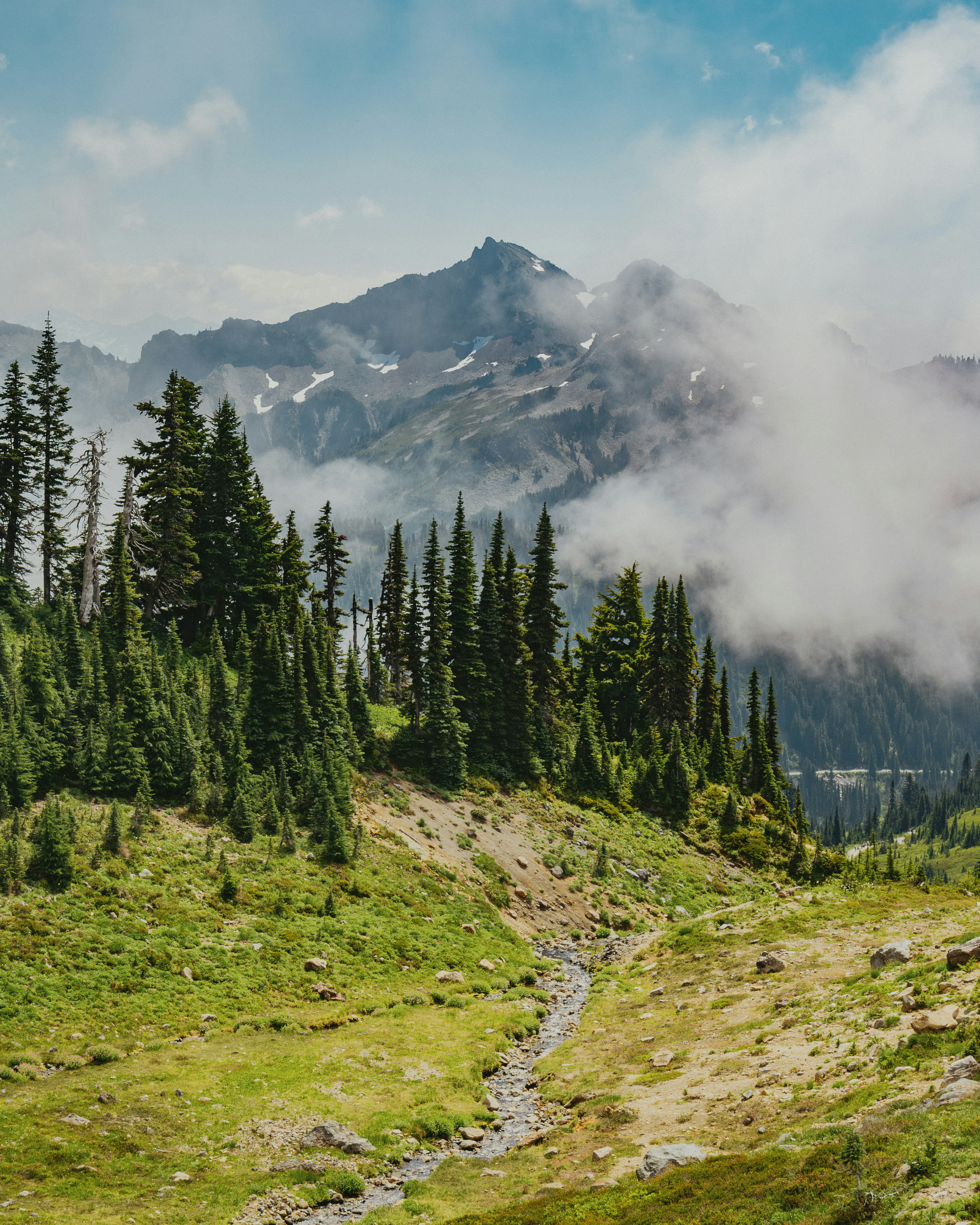 A mountain with a stream running through it photo – Free Mt rainier ...