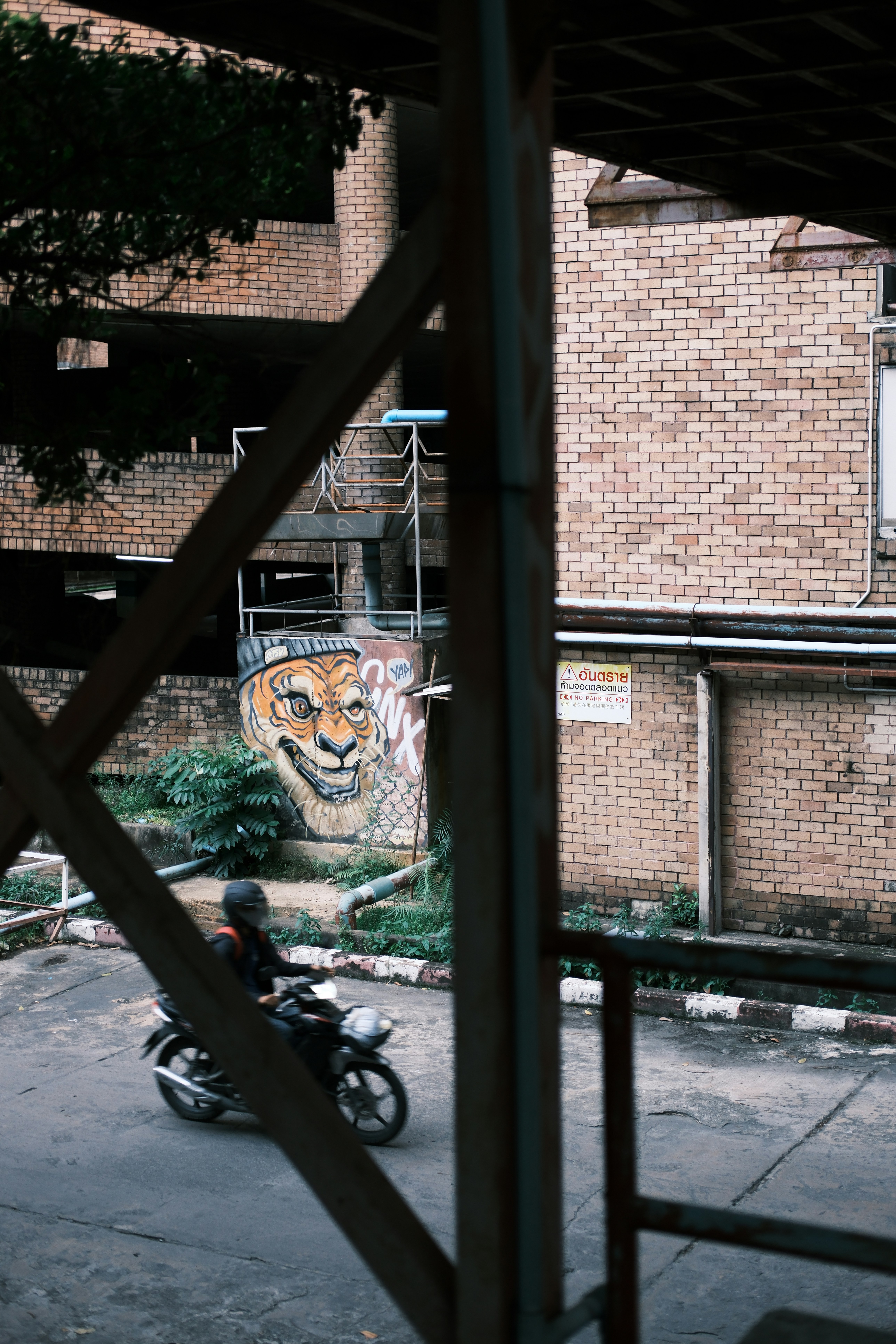 Tiger in the Grids: Graffiti Portrait Through Industrial Crossbars