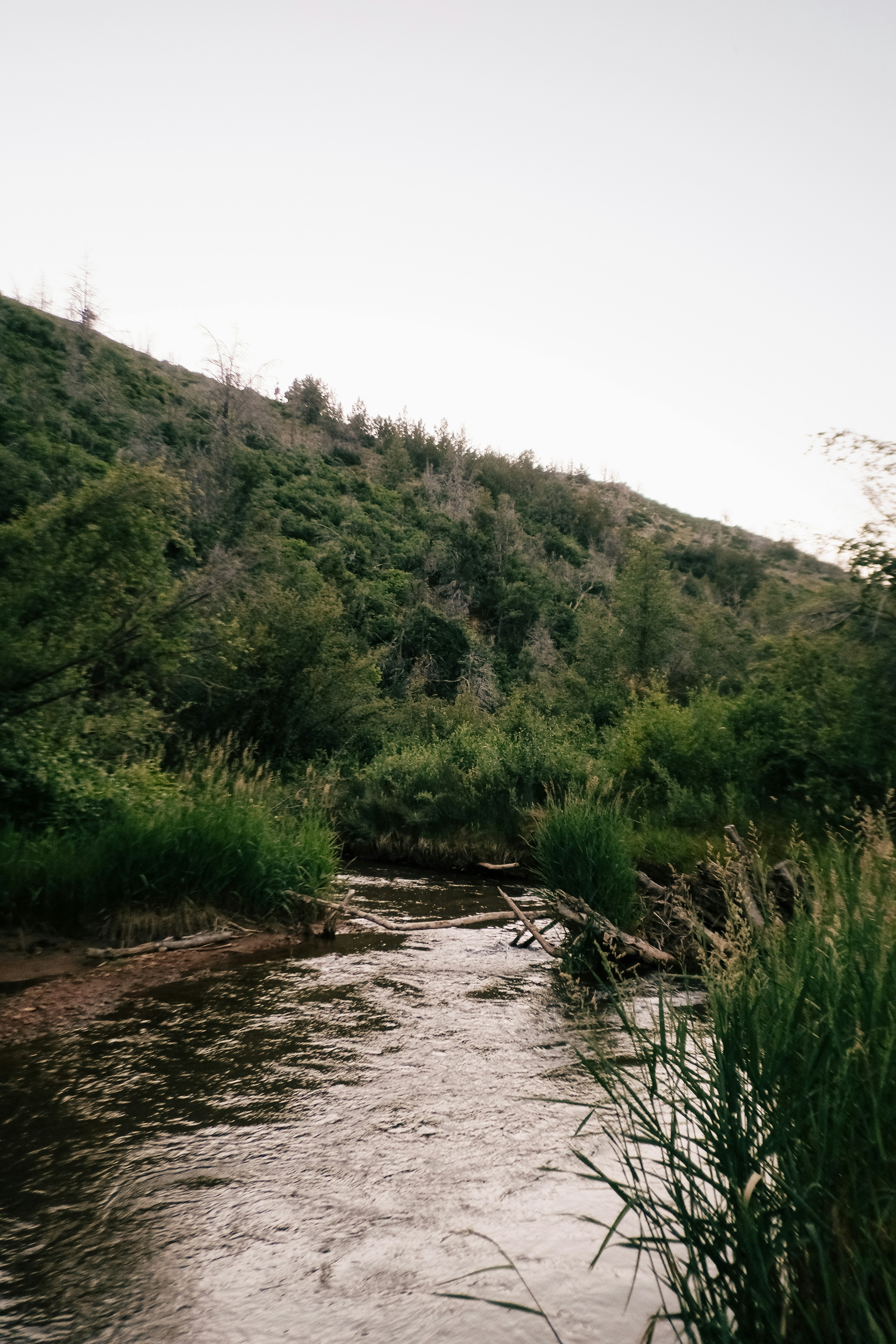 A stream running through a lush green hillside photo – Free Stream ...