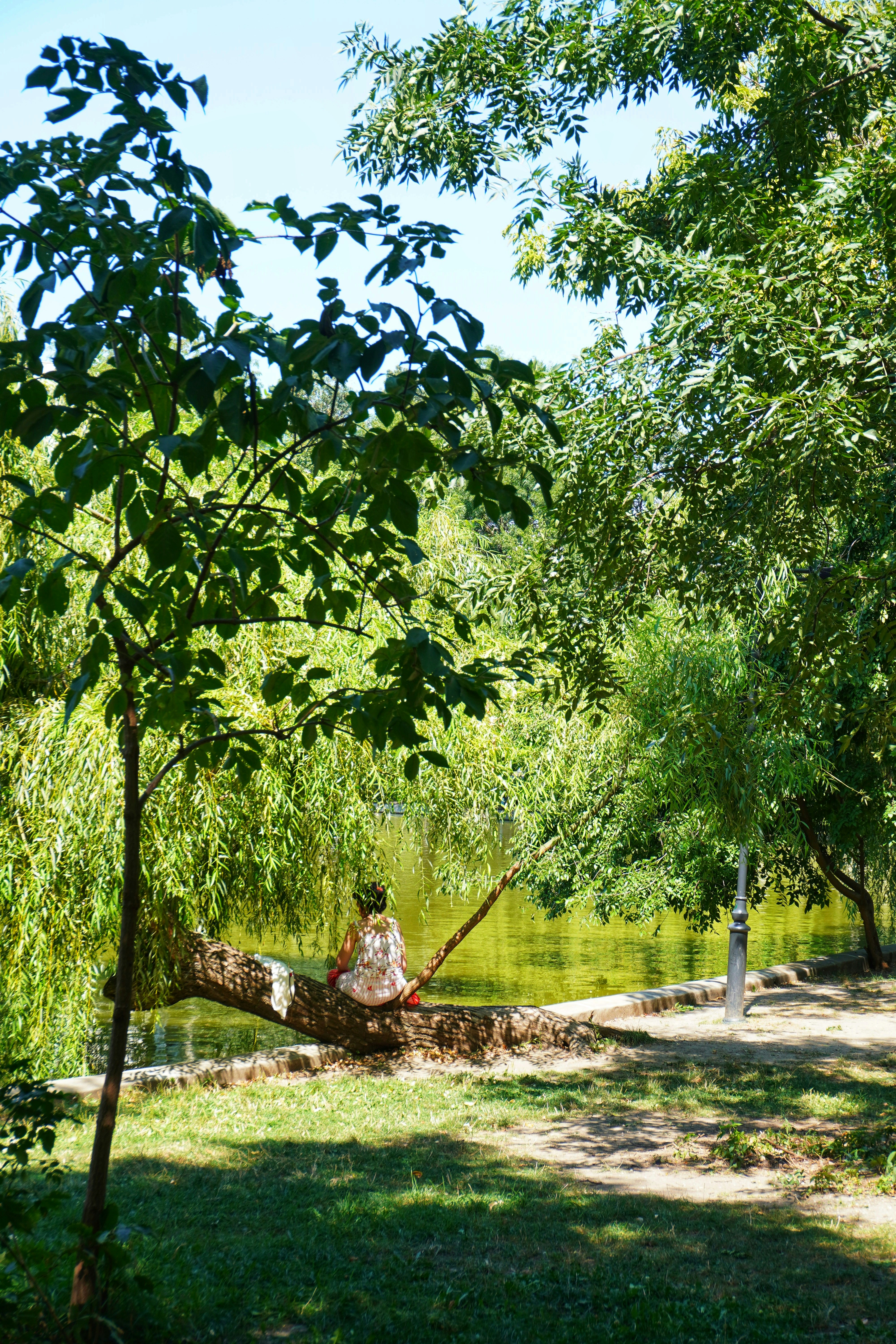 Photo by Ioana-Roxana with Sony Alpha 6100