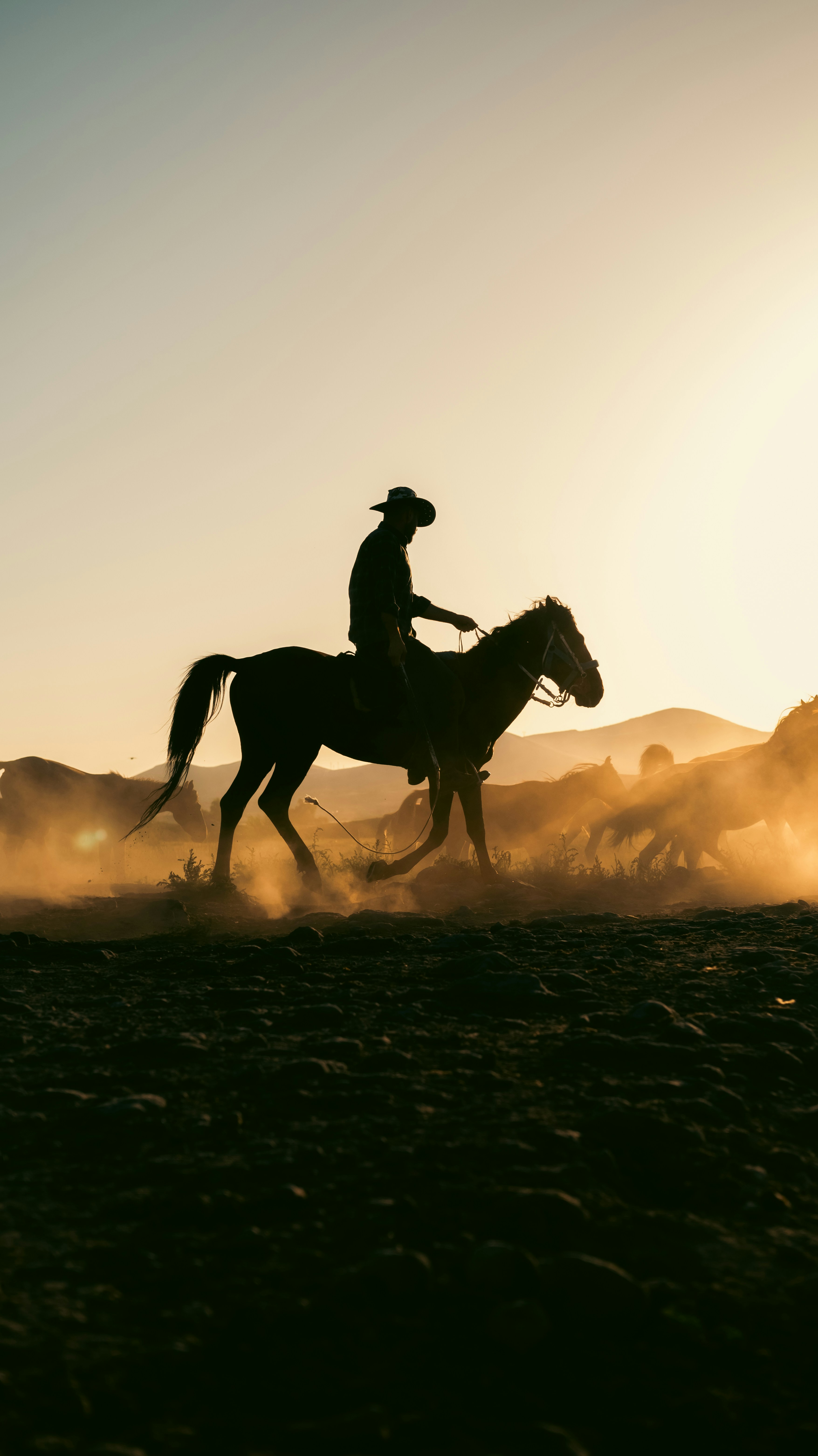 A man riding a horse across a dirt field photo – Free Man Image on Unsplash
