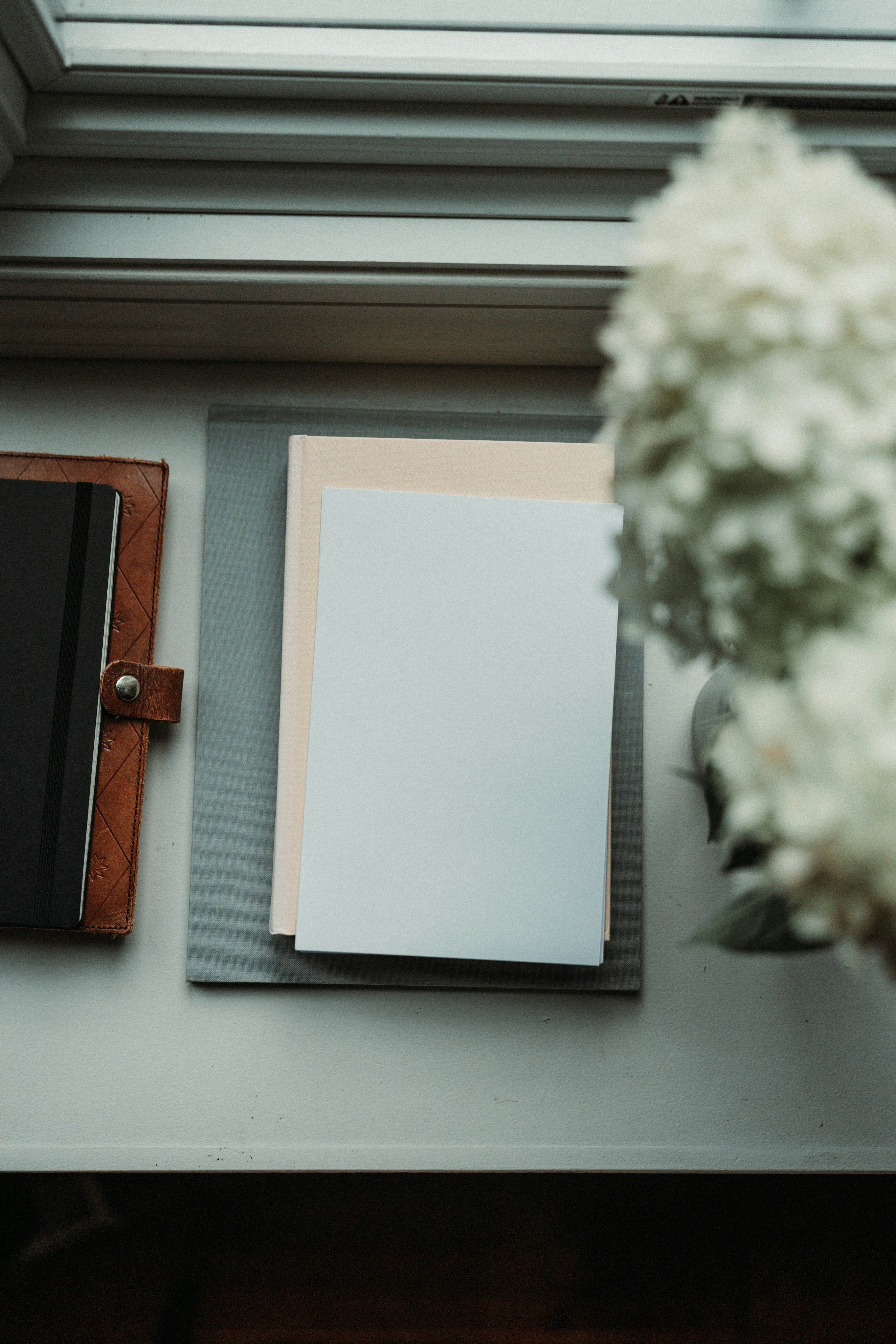 Photo by Kelly Sikkema with Sony Alpha 7 IV