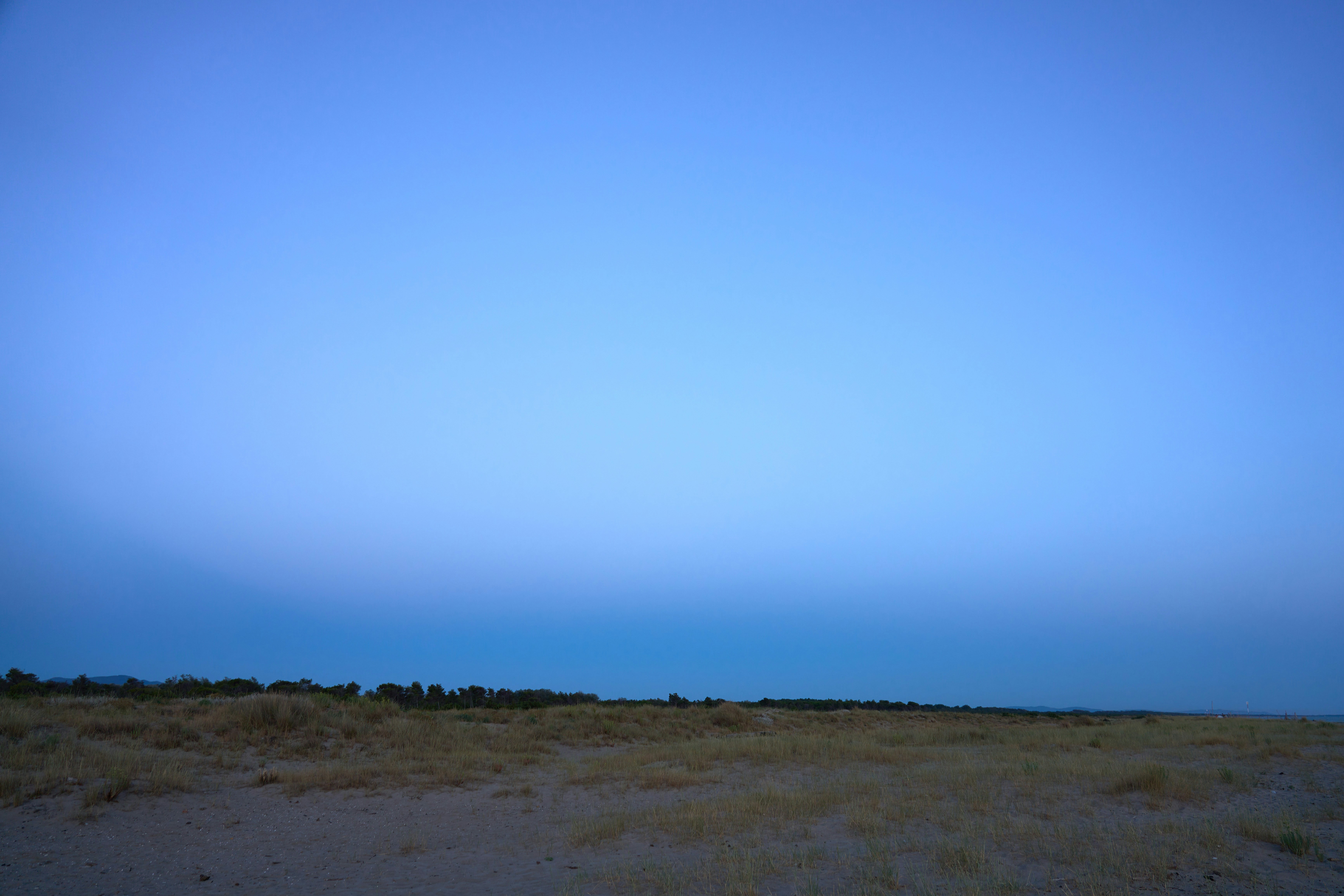 Photo by Wolfgang Hasselmann with Sony Alpha 7 IV