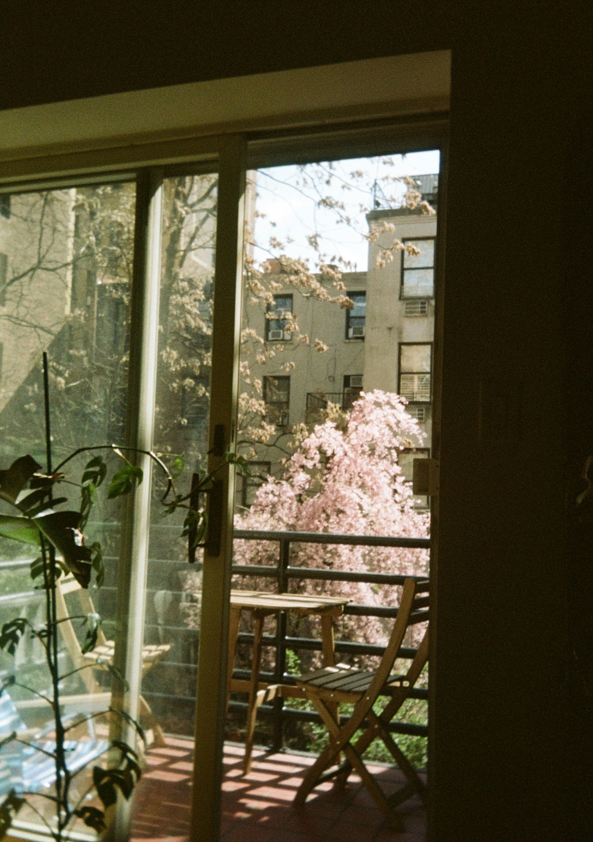 A view of a patio through a sliding glass door photo – Free New york ...