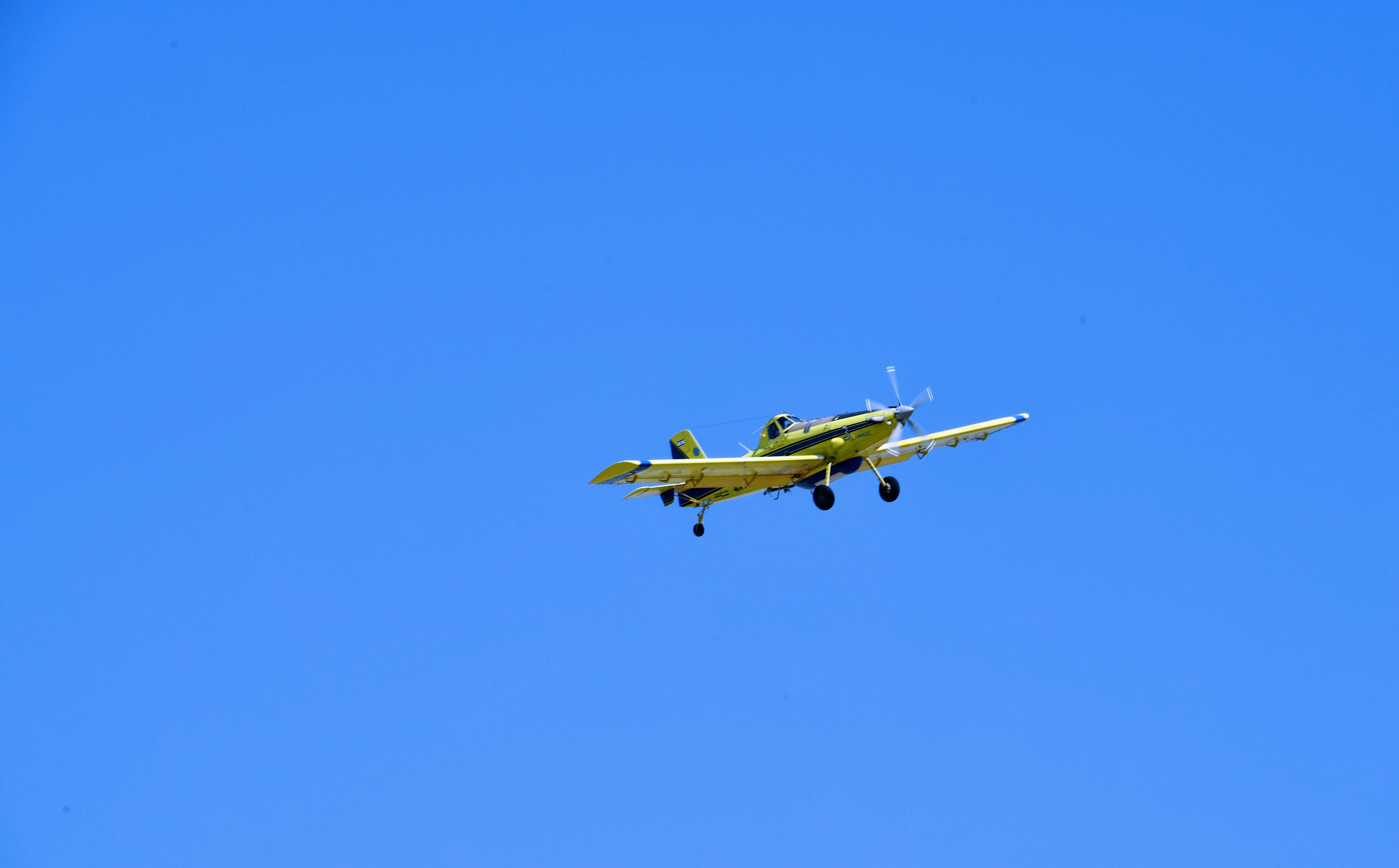 Olive-Green Trainer in a Cloudless Sky