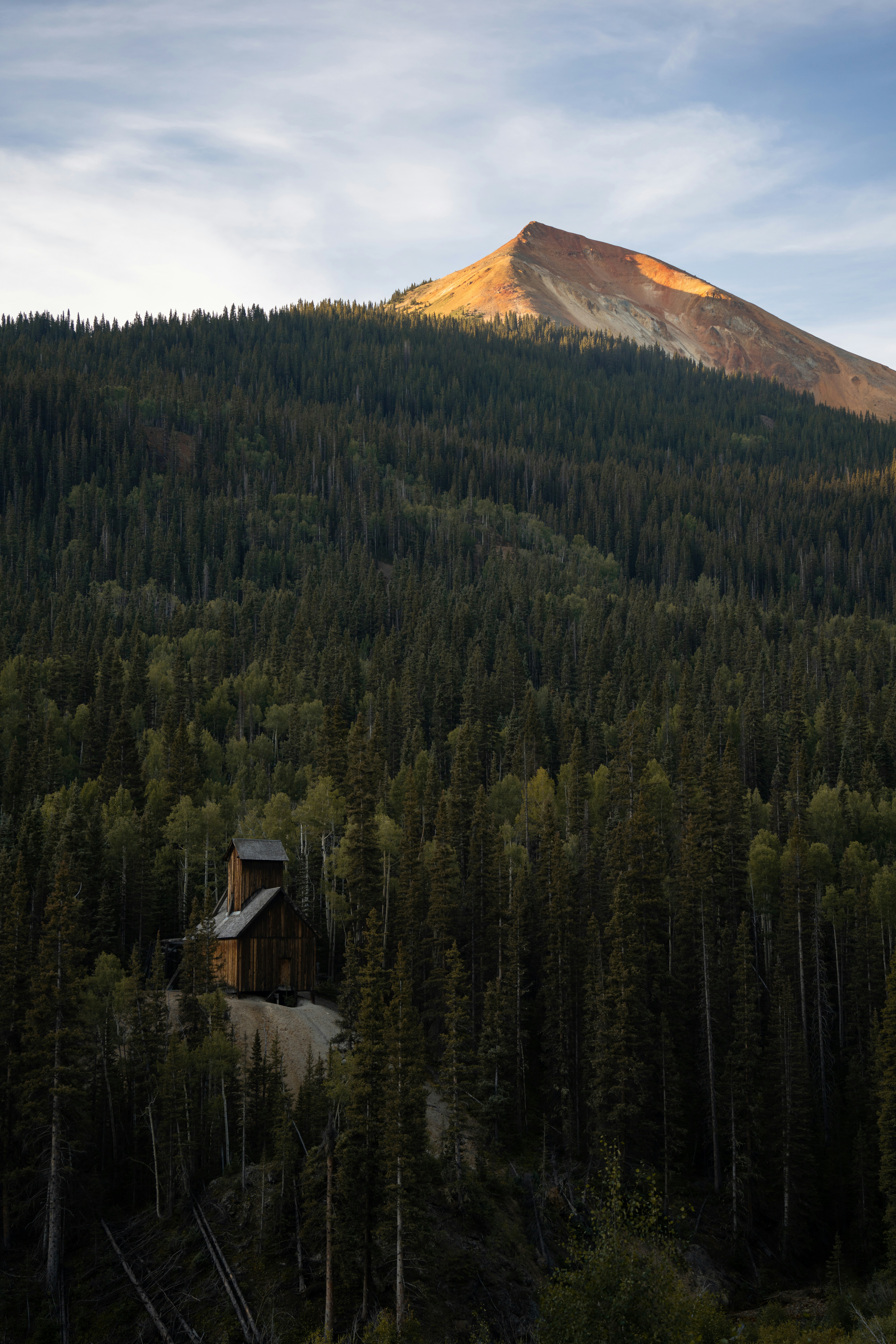 Sunlit Summit Above the Pine Forest and Weathered Chapel