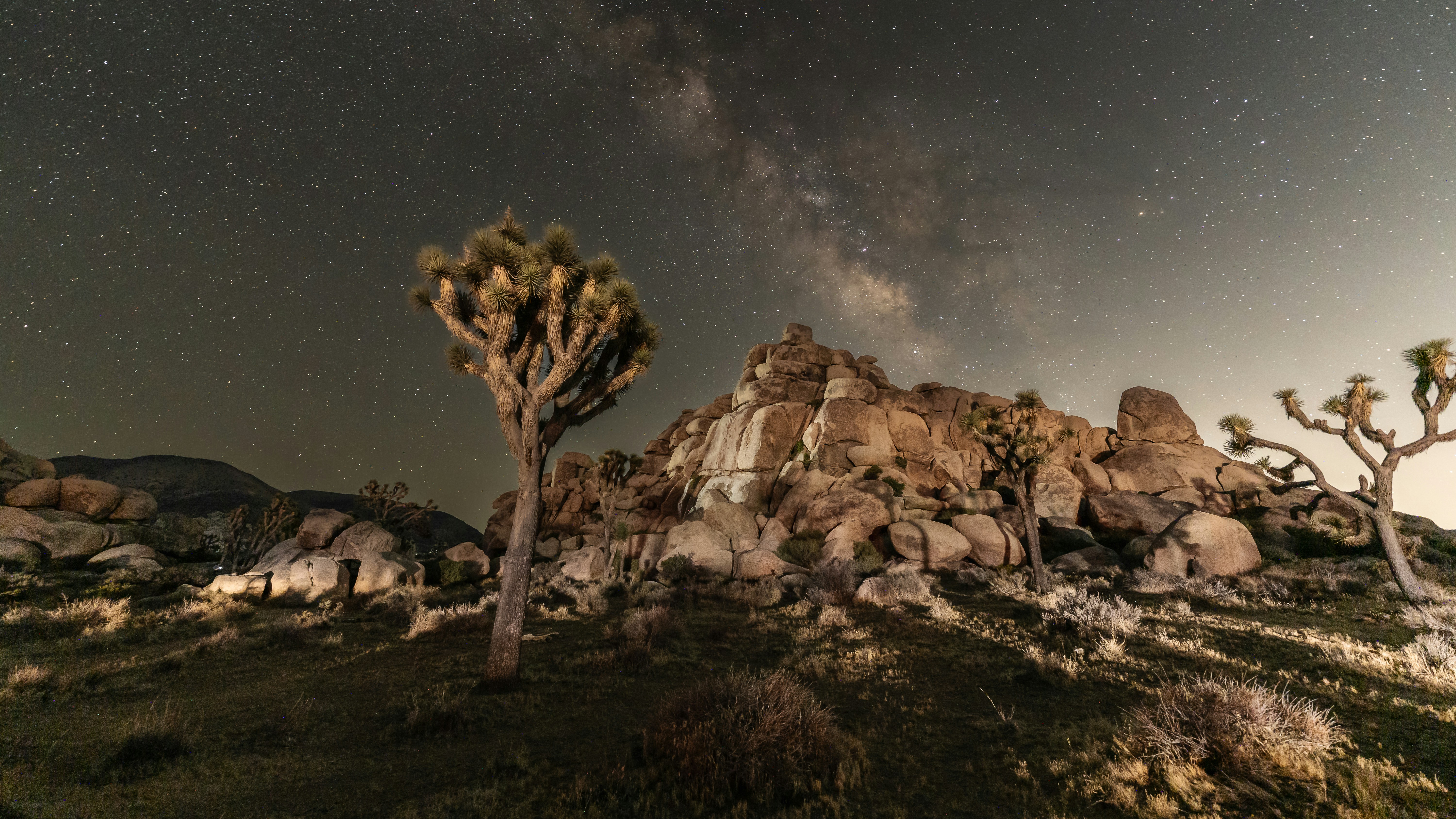 Photo by wallace Henry with Sony Alpha 7 III