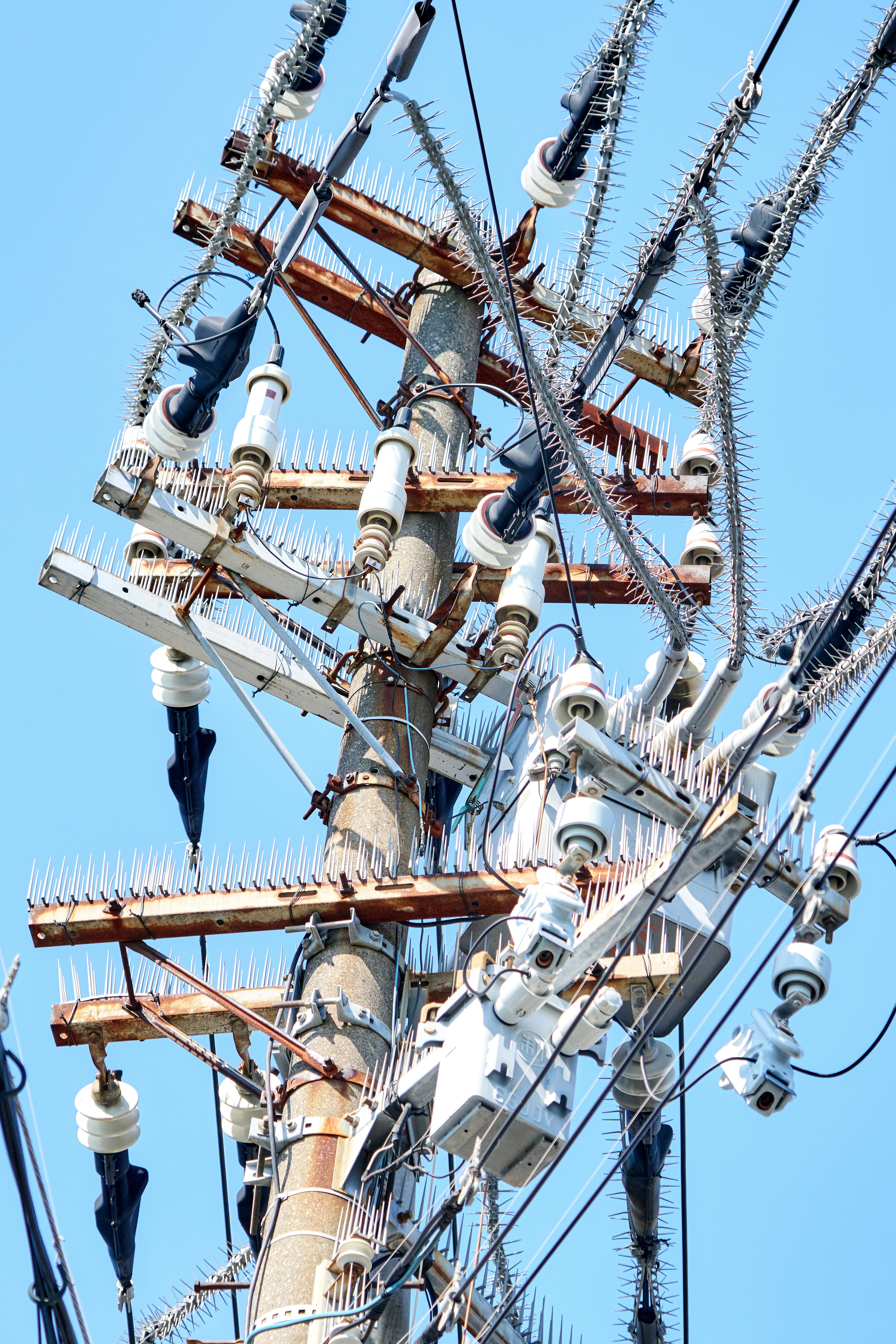 A close up of a telephone pole with many wires photo – Free 日本、大阪府堺市 ...
