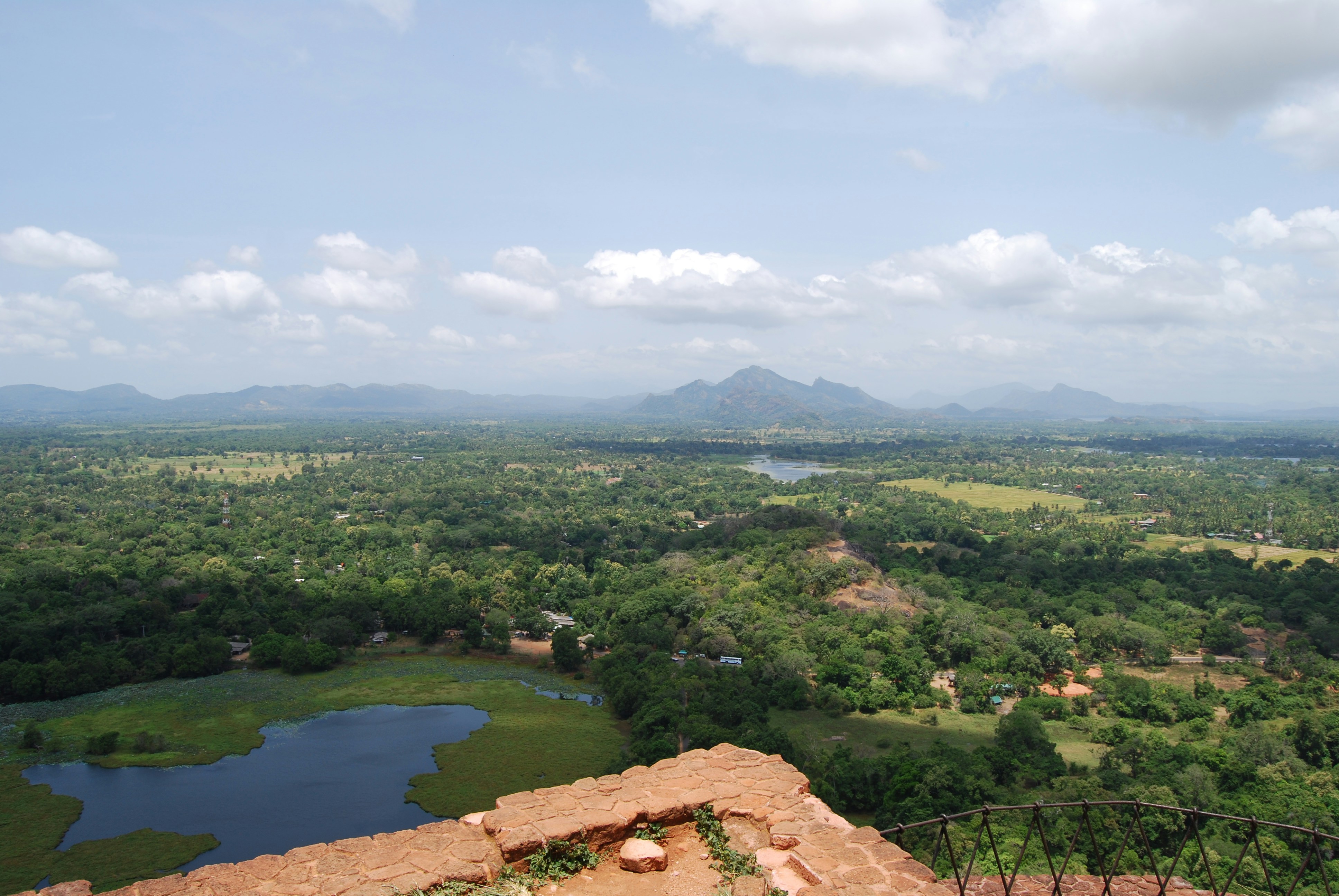 A bird's eye view of a lush green landscape