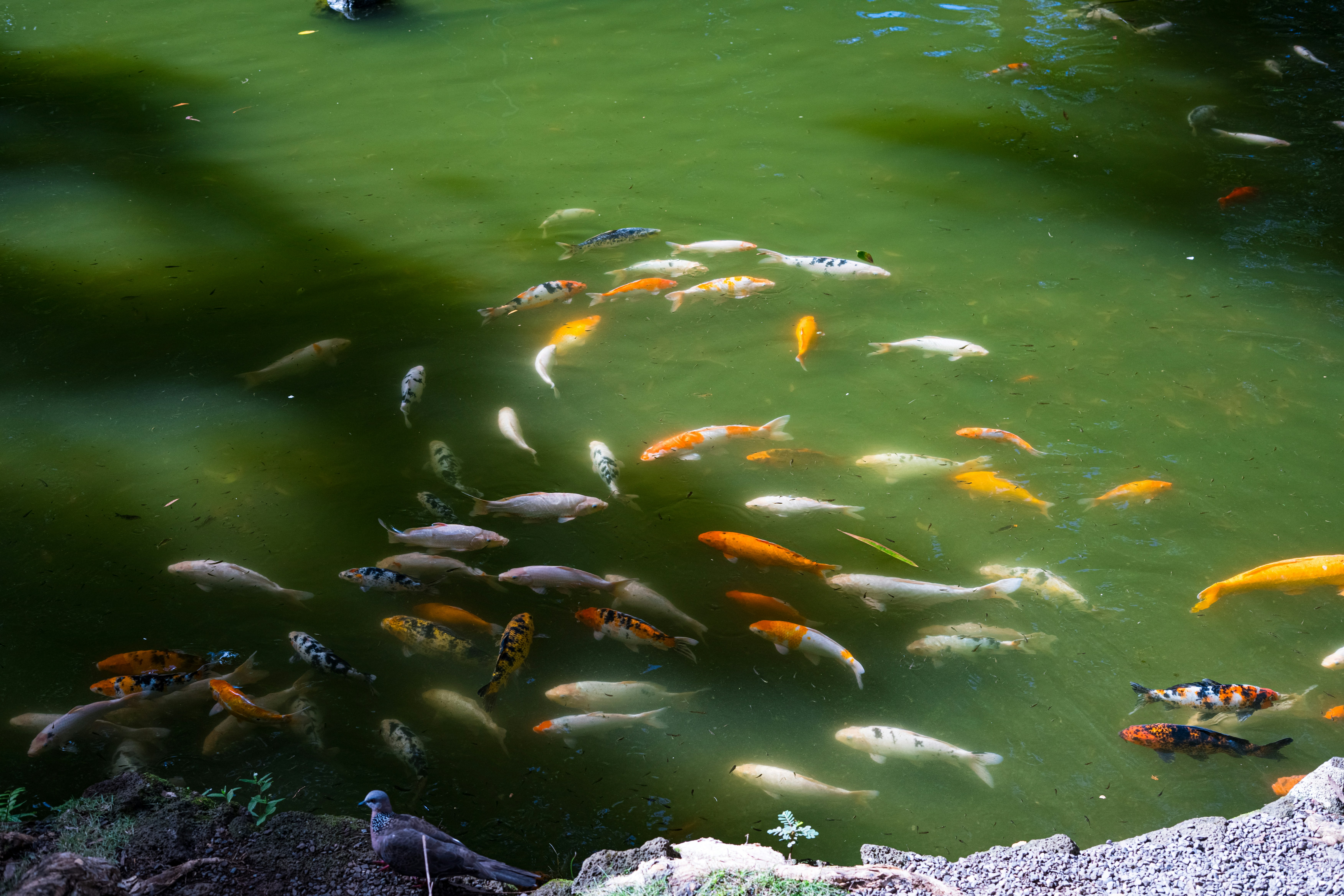 Photo by EVERFOCAL with Sony Alpha 7 IV