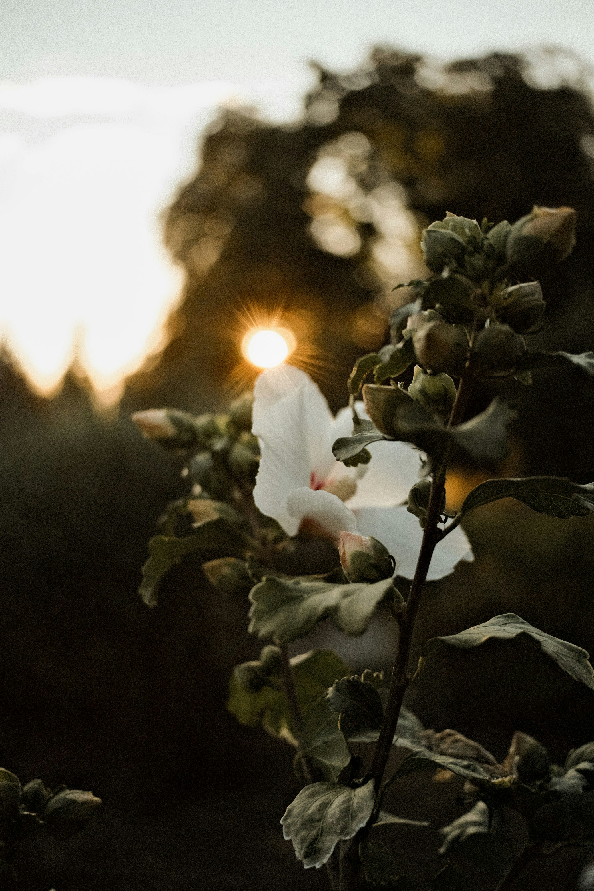 Growing up - by W.B. Foley - W.B.’s Substack