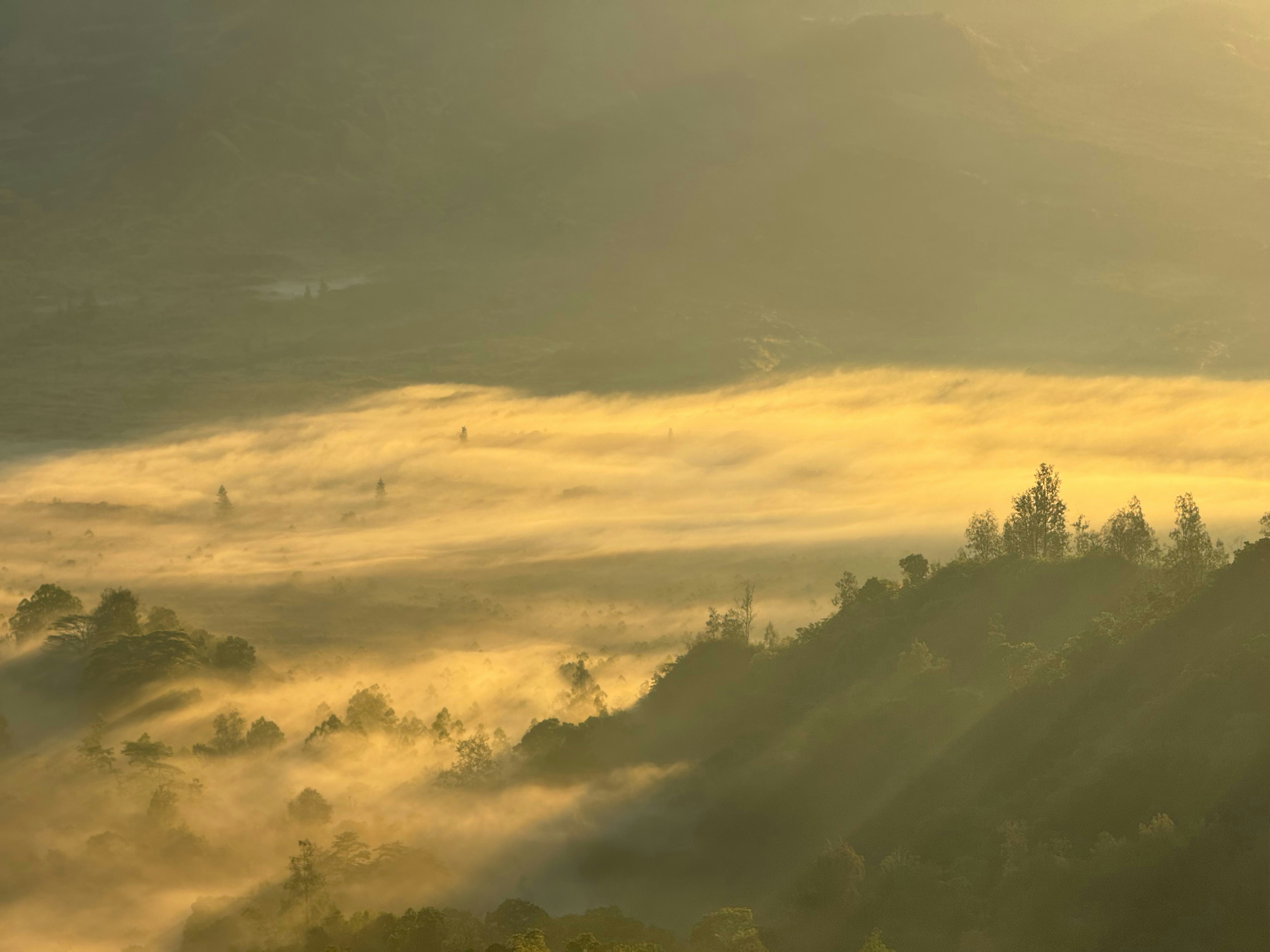 The sun shines through the fog in the mountains photo – Free Sunrise ...