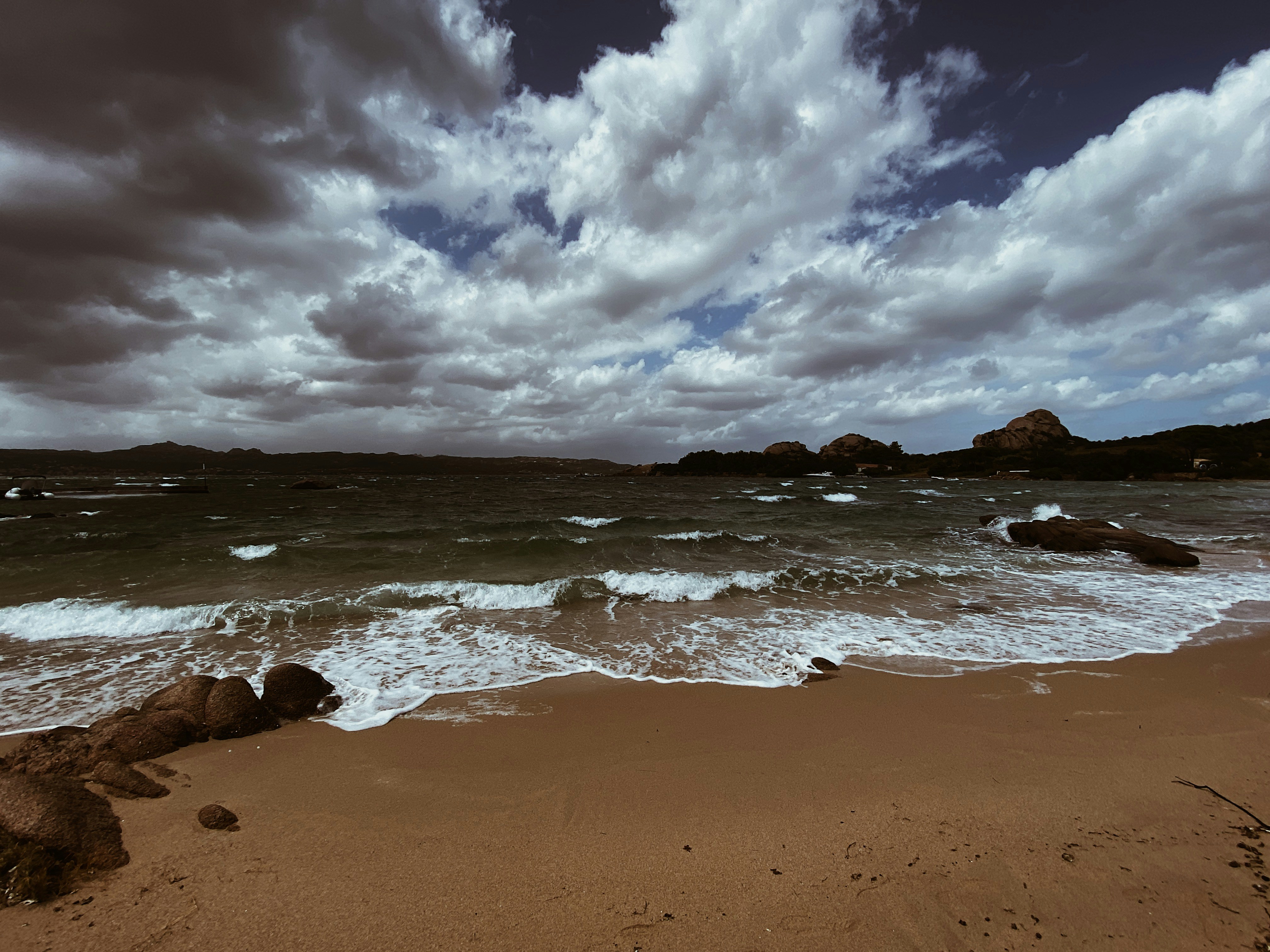 Whispers of the Tides: A Coastal Symphony