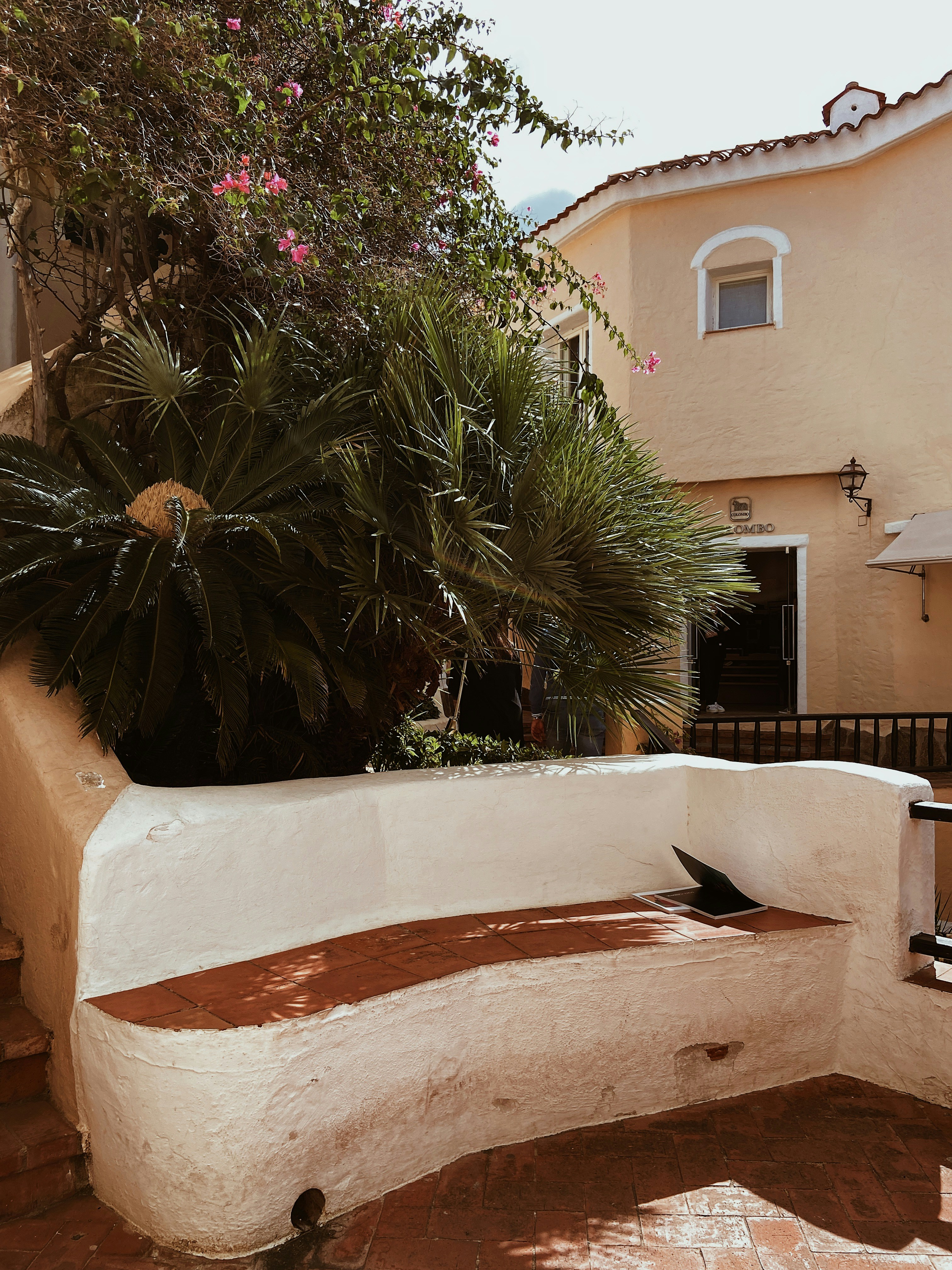 Photo by Sara Darcaj with Apple iPhone 11