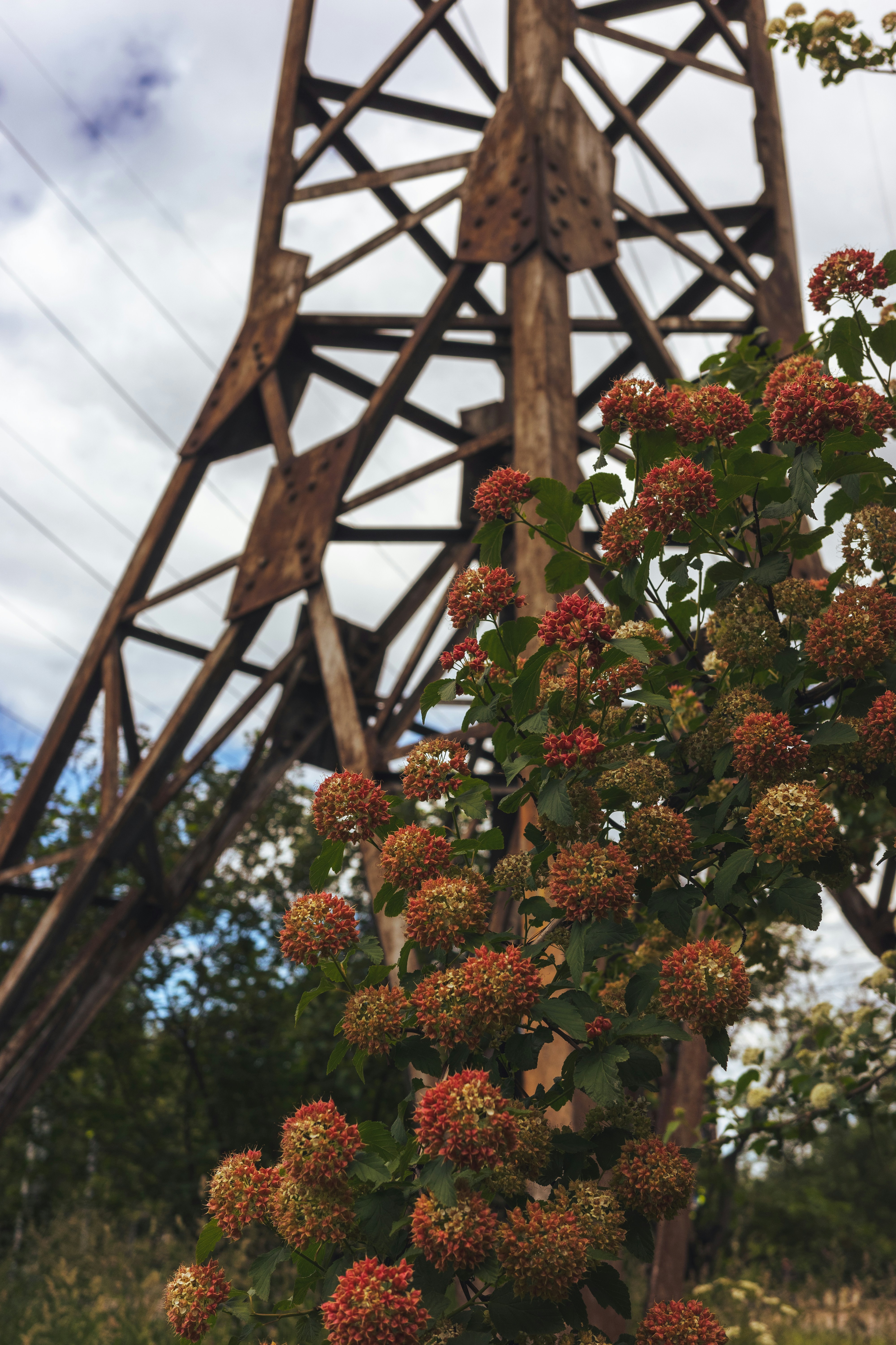 Une grande tour sur laquelle pousse un bouquet de fleurs photo – Image ...