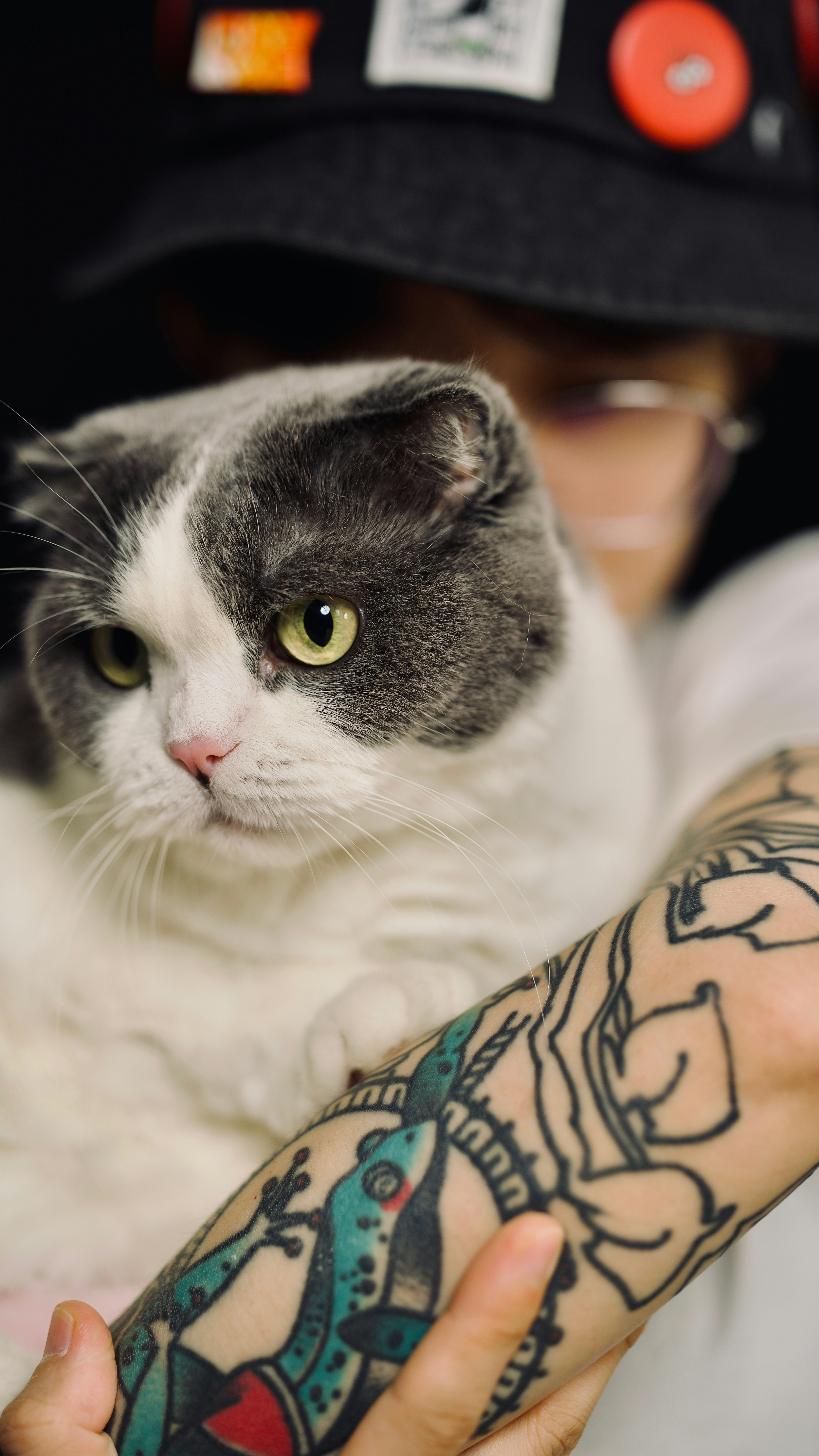 Cat Portrait in Cozy Tattooed Arm Embrace