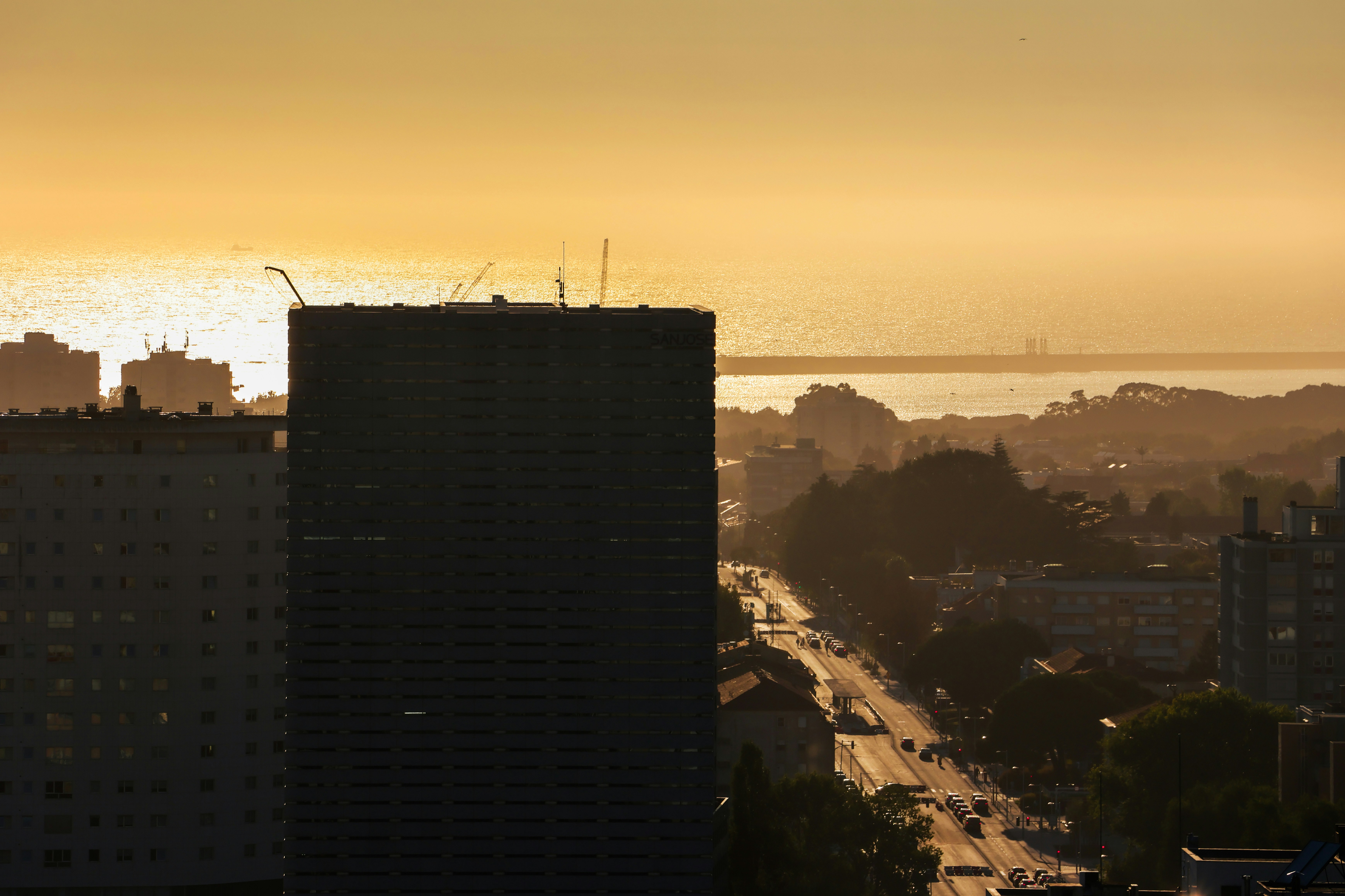 Photo by Wendell Adriel L.S. with Canon EOS R7