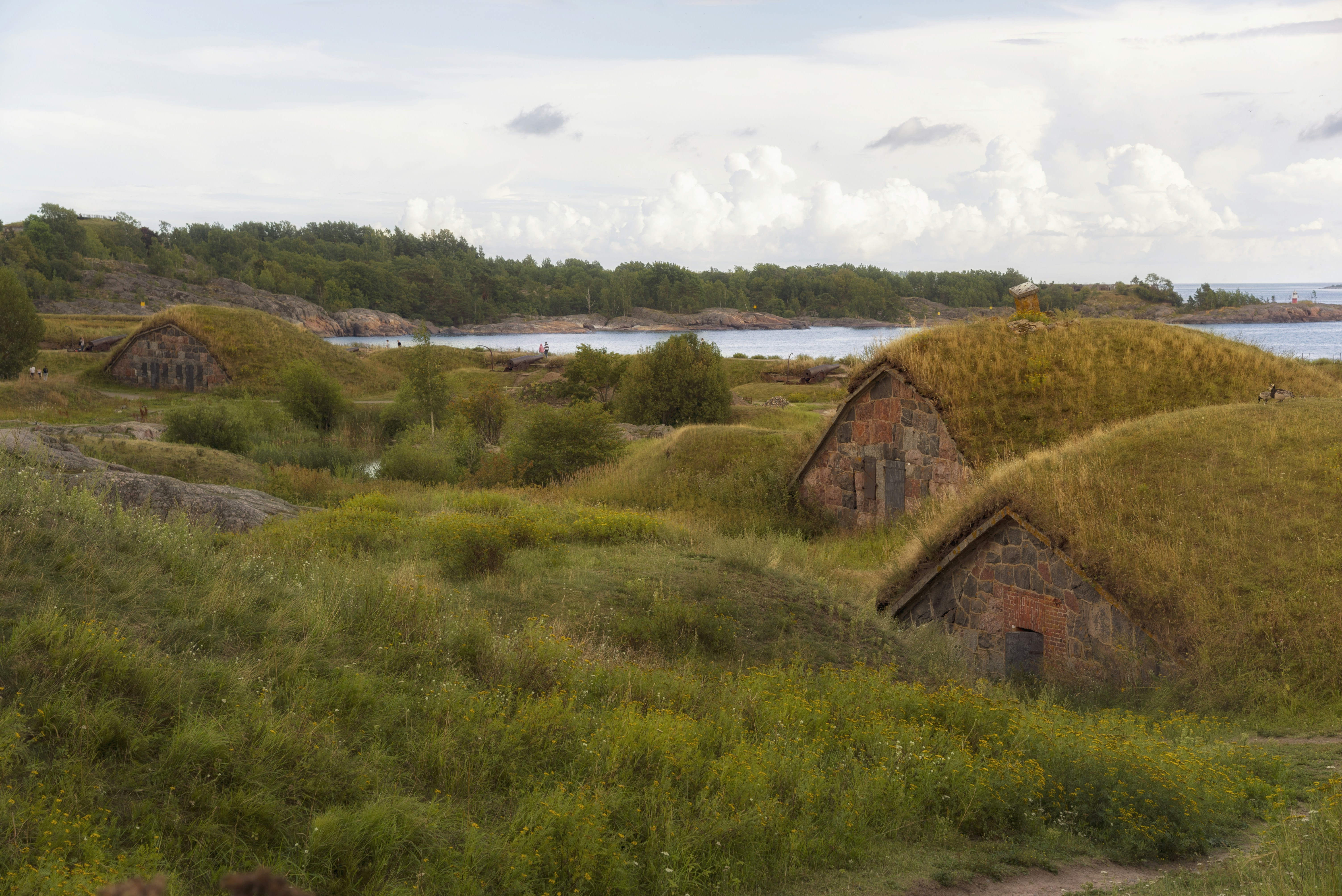 A group of grass roofed houses sitting on top of a lush green field