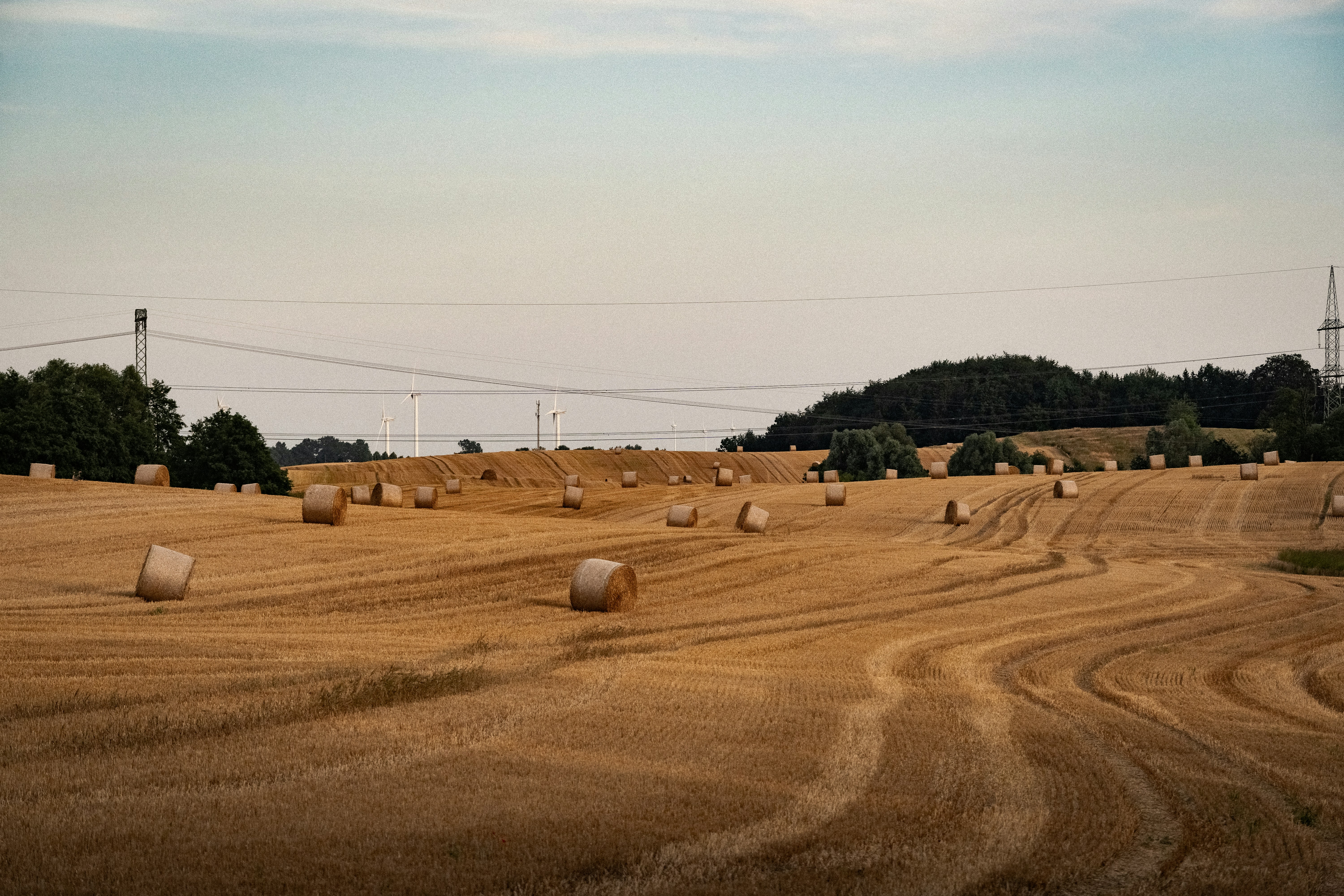 A field with bales of hay in the middle of it photo – Free Kavelstorf ...