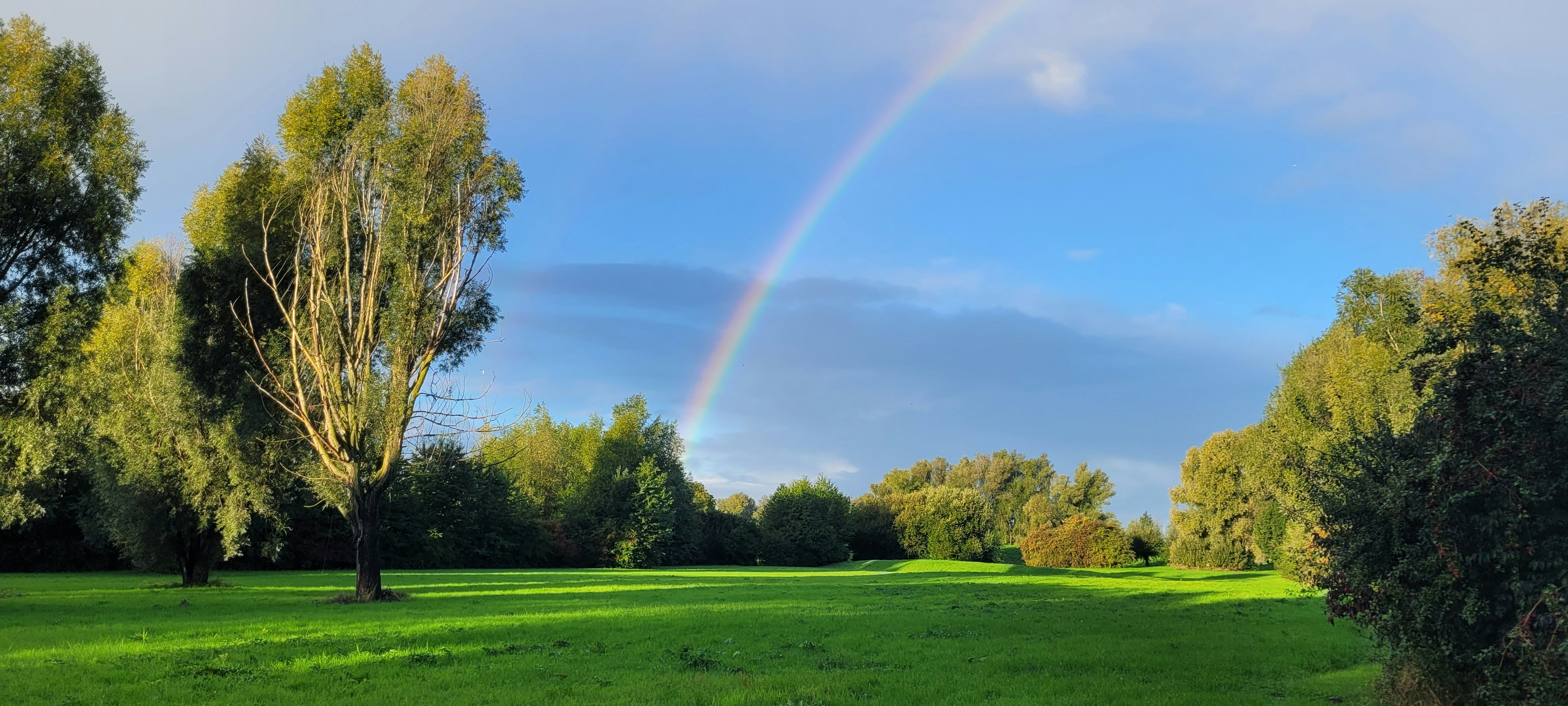 Emerald Field Beneath a Violet Arc