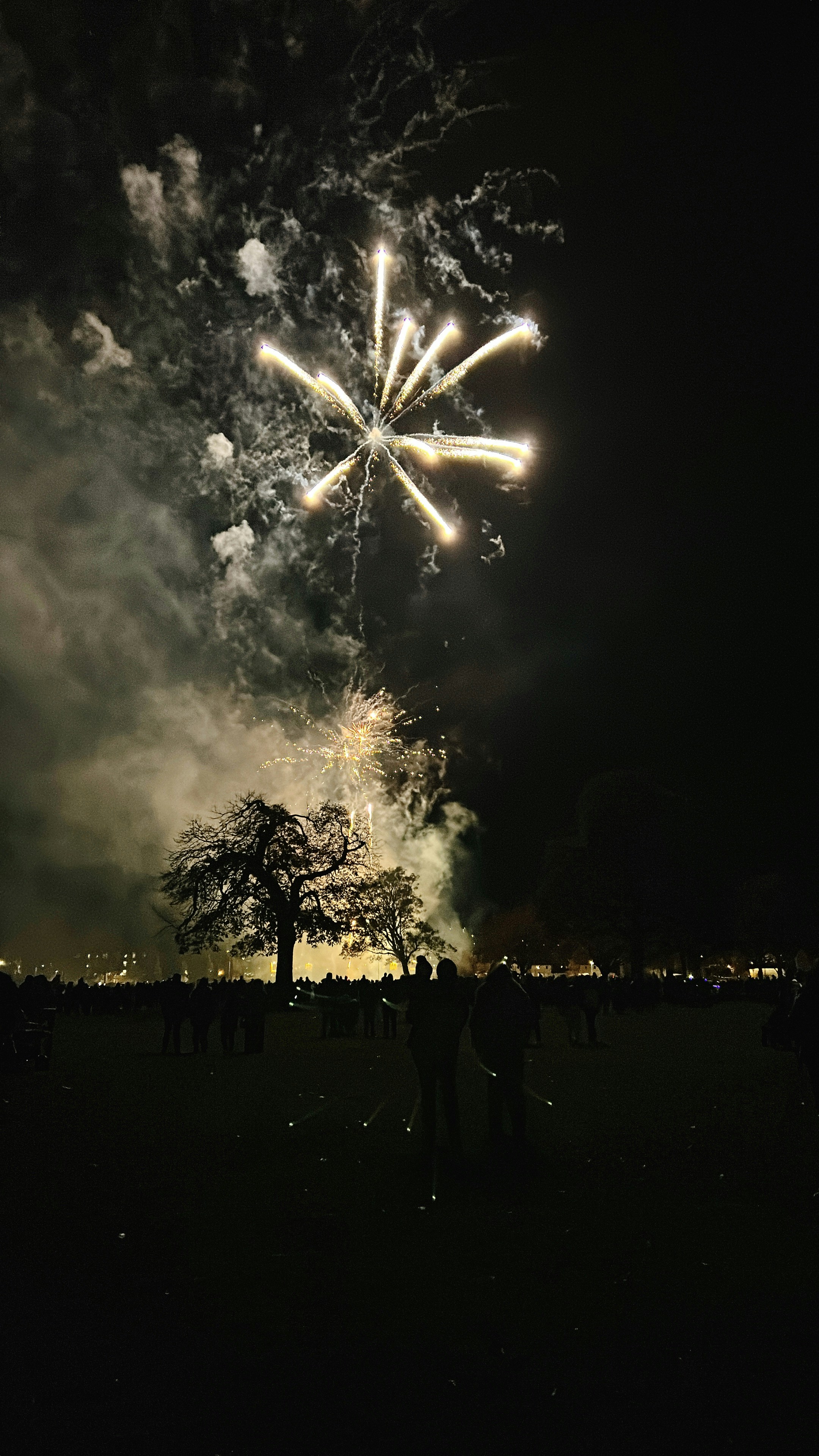 Chloë Forbes-Kindlen (@chloeforbesk) | Unsplashフォトコミュニティ