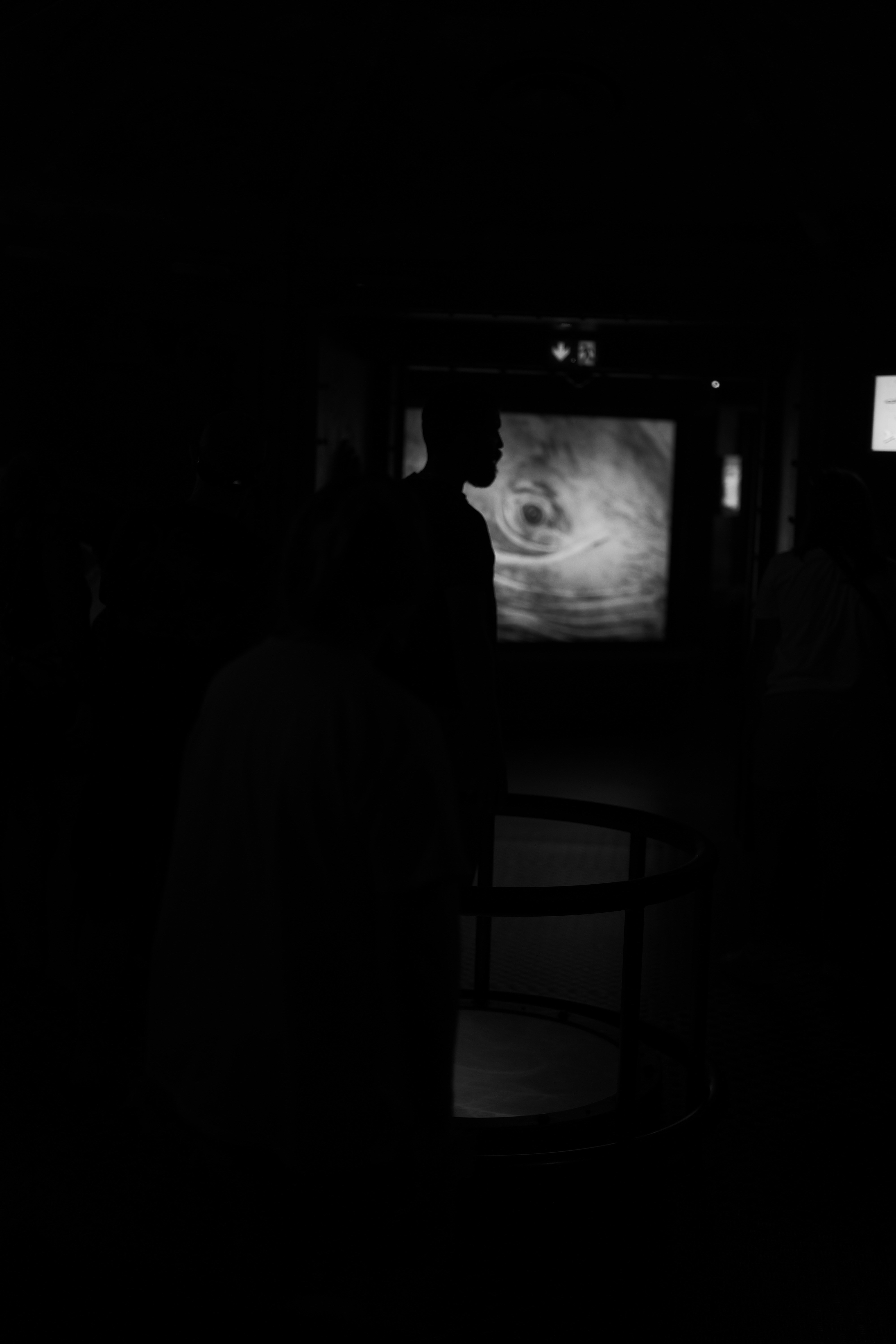 Silhouette and the Swirl: A Quiet Moment in a Dim Exhibition