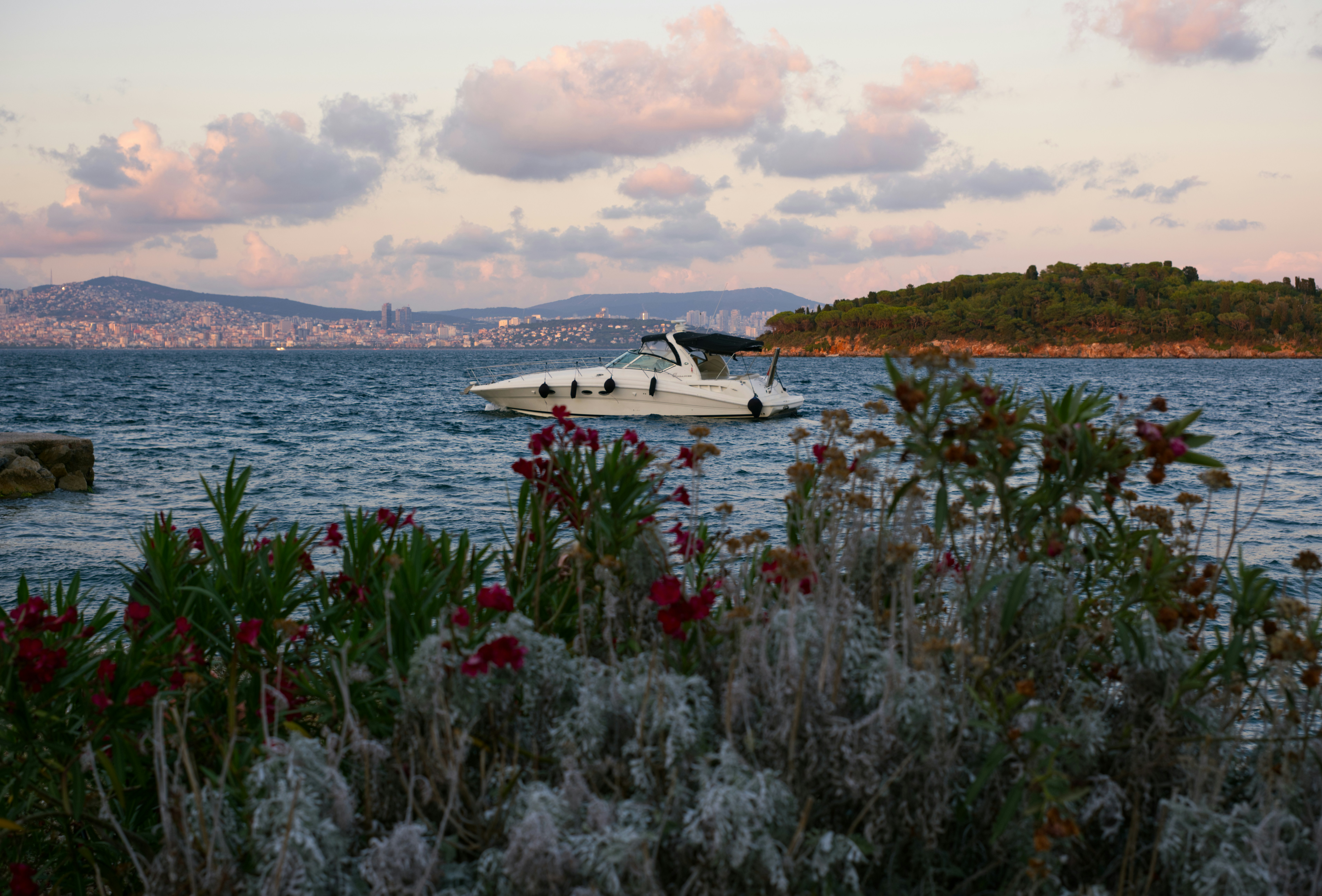 Dusk Harbor: A White Yacht Framed by Coastal Flora