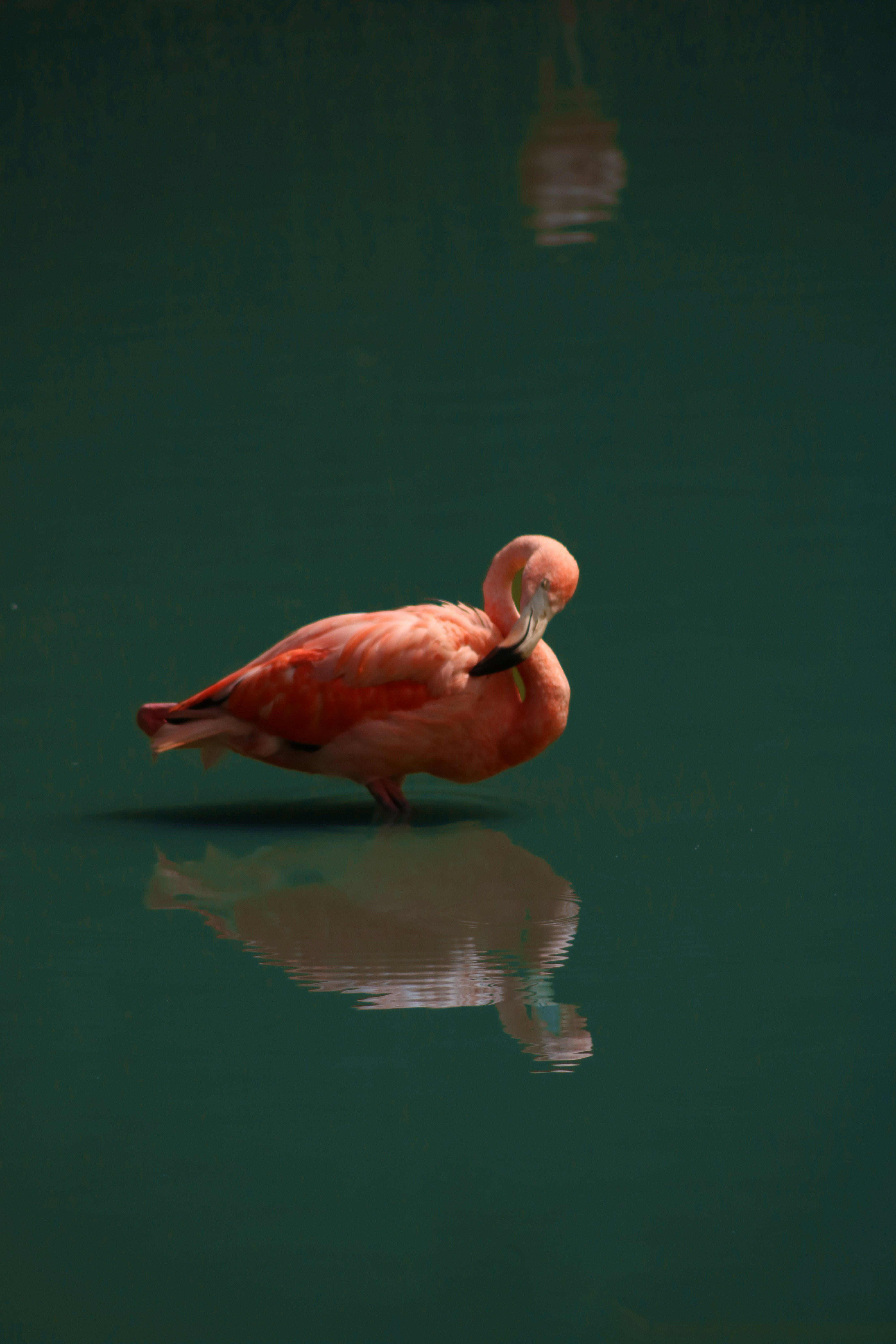 Photo by Anna WOLFF with Canon EOS 750D