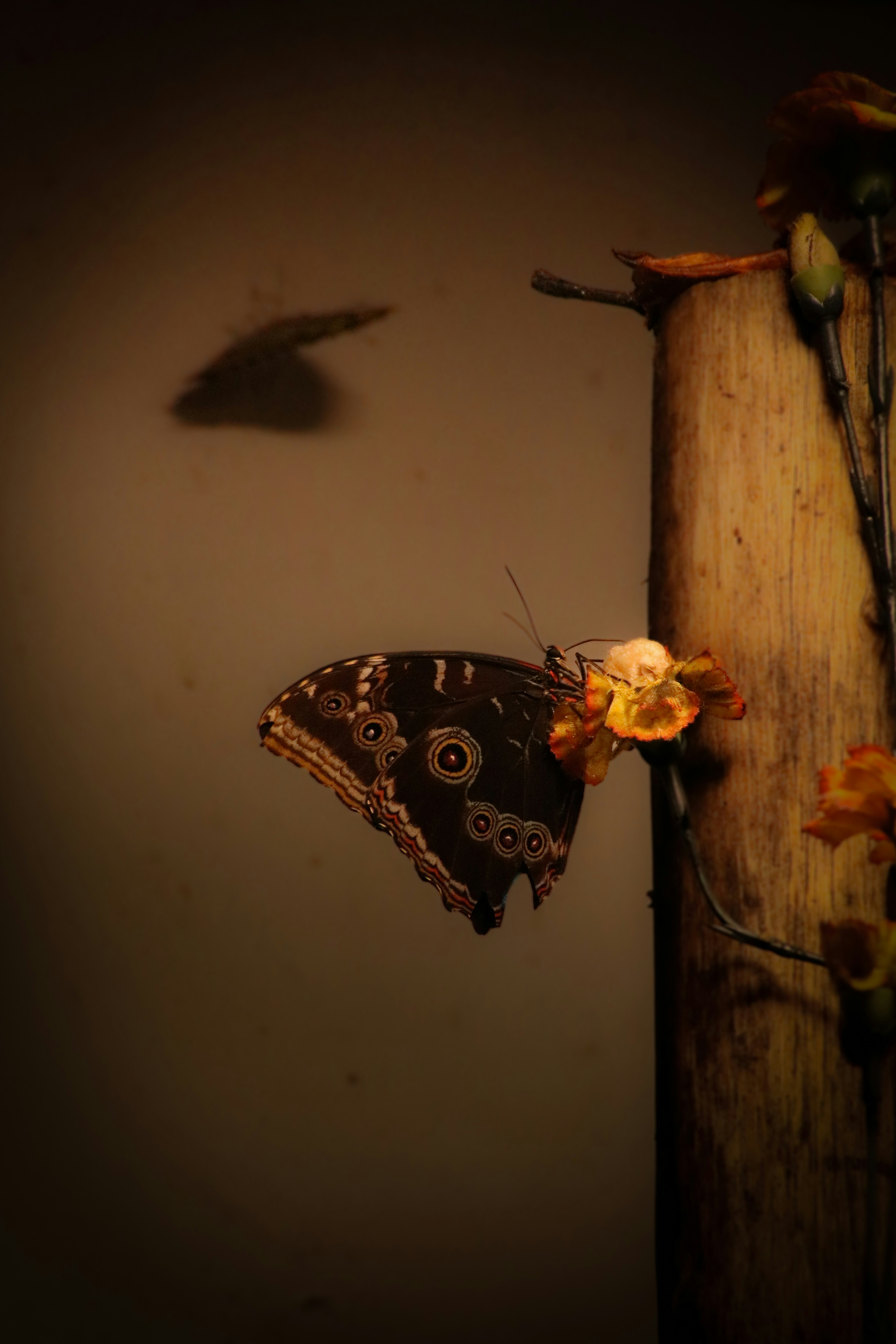 Photo by Anna WOLFF with Canon EOS 750D