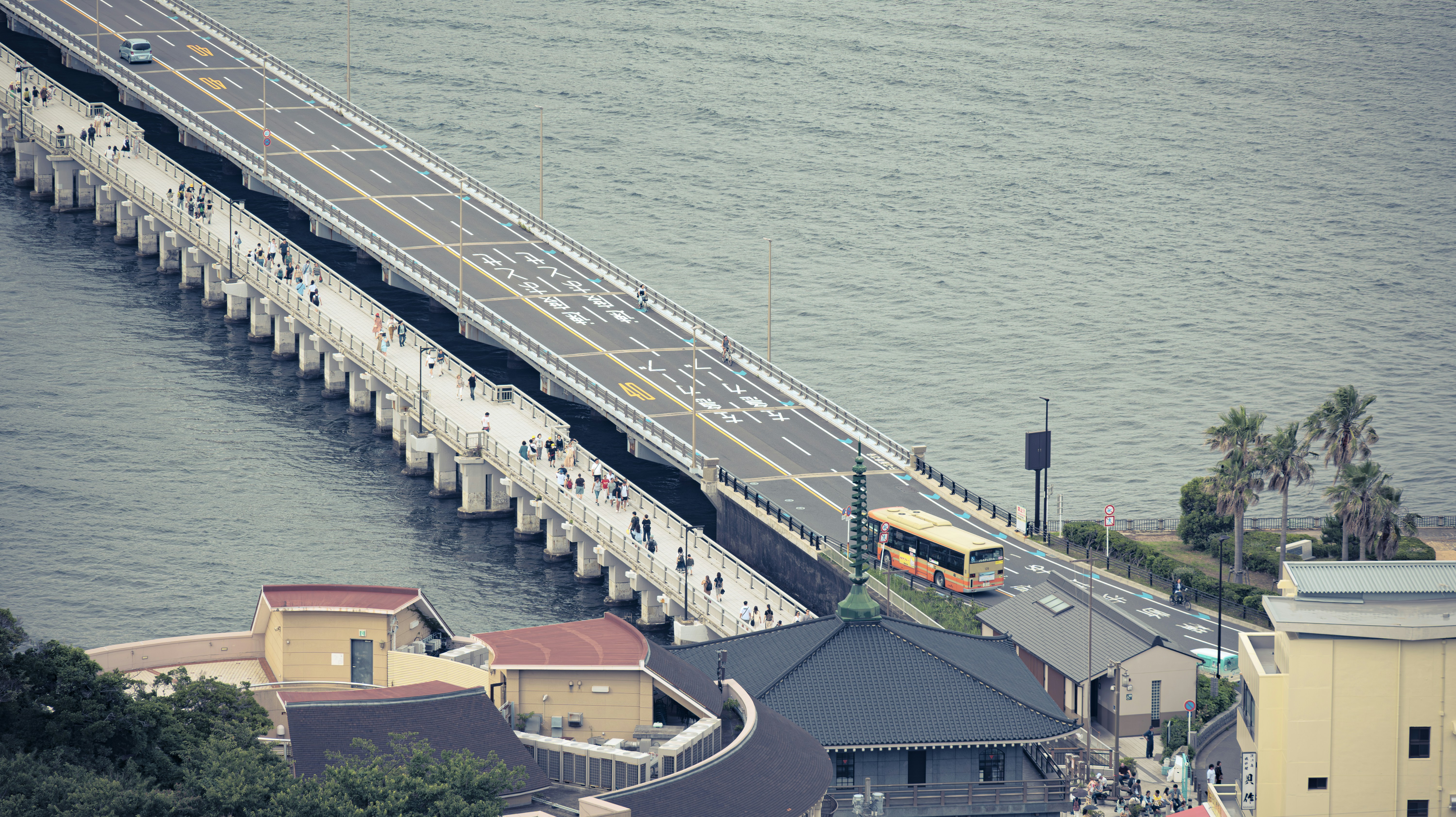 Diagonal Pier Road by the Sea: A Quiet Coastal Moment Framed by Palm Trees