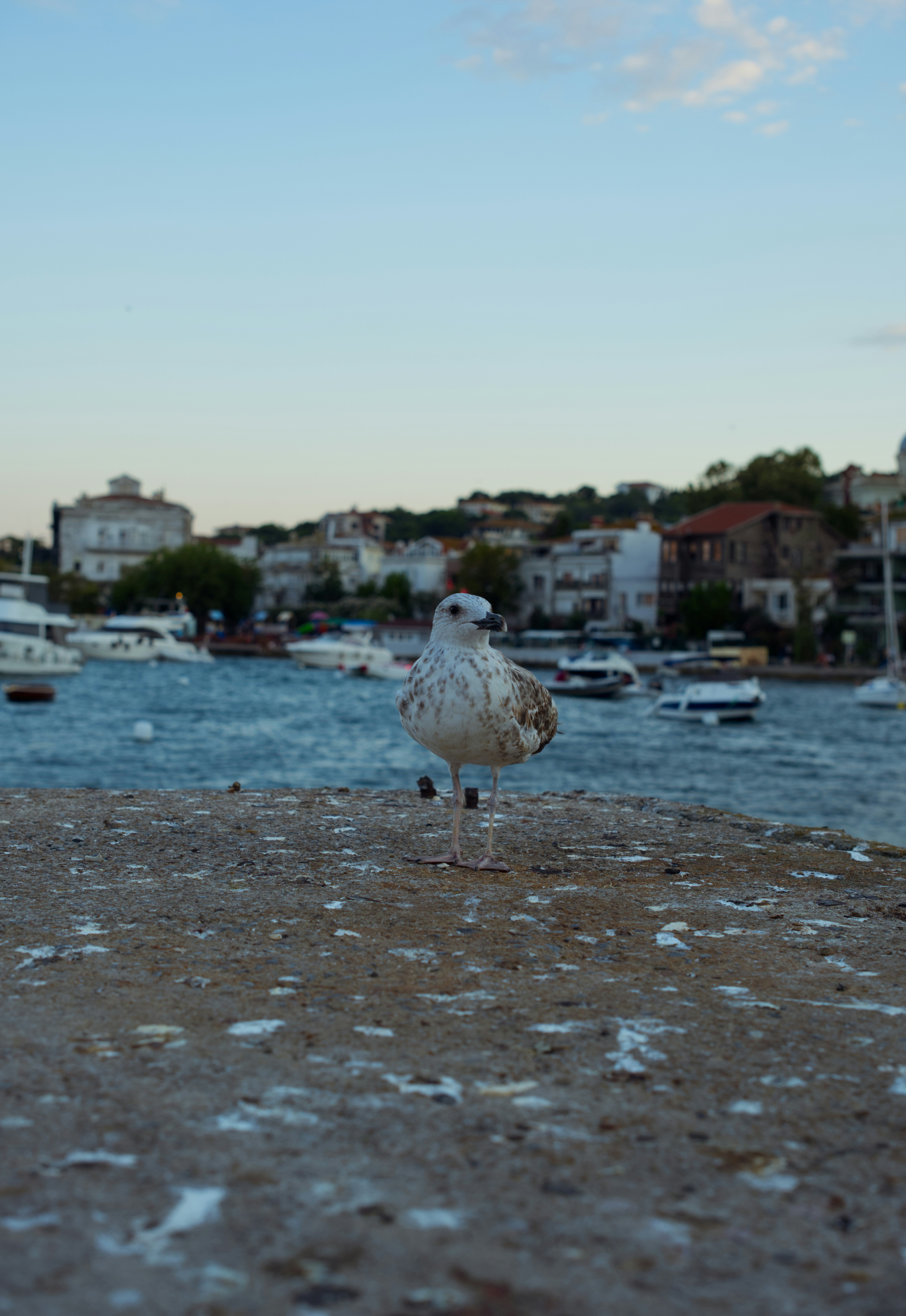 Photo by Ilker Ozmen with Fujifilm X-H2