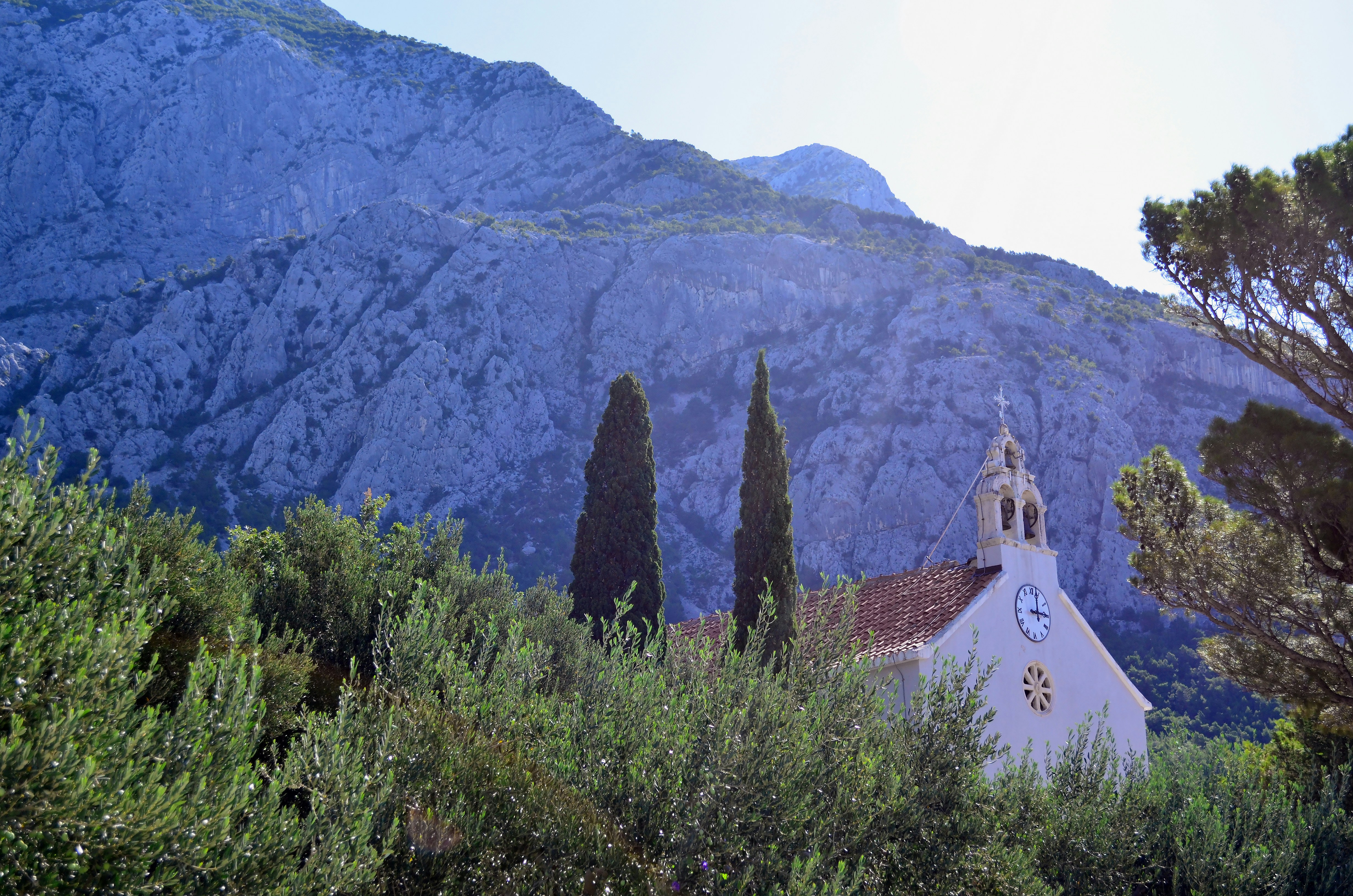 A white church with a steeple surrounded by trees