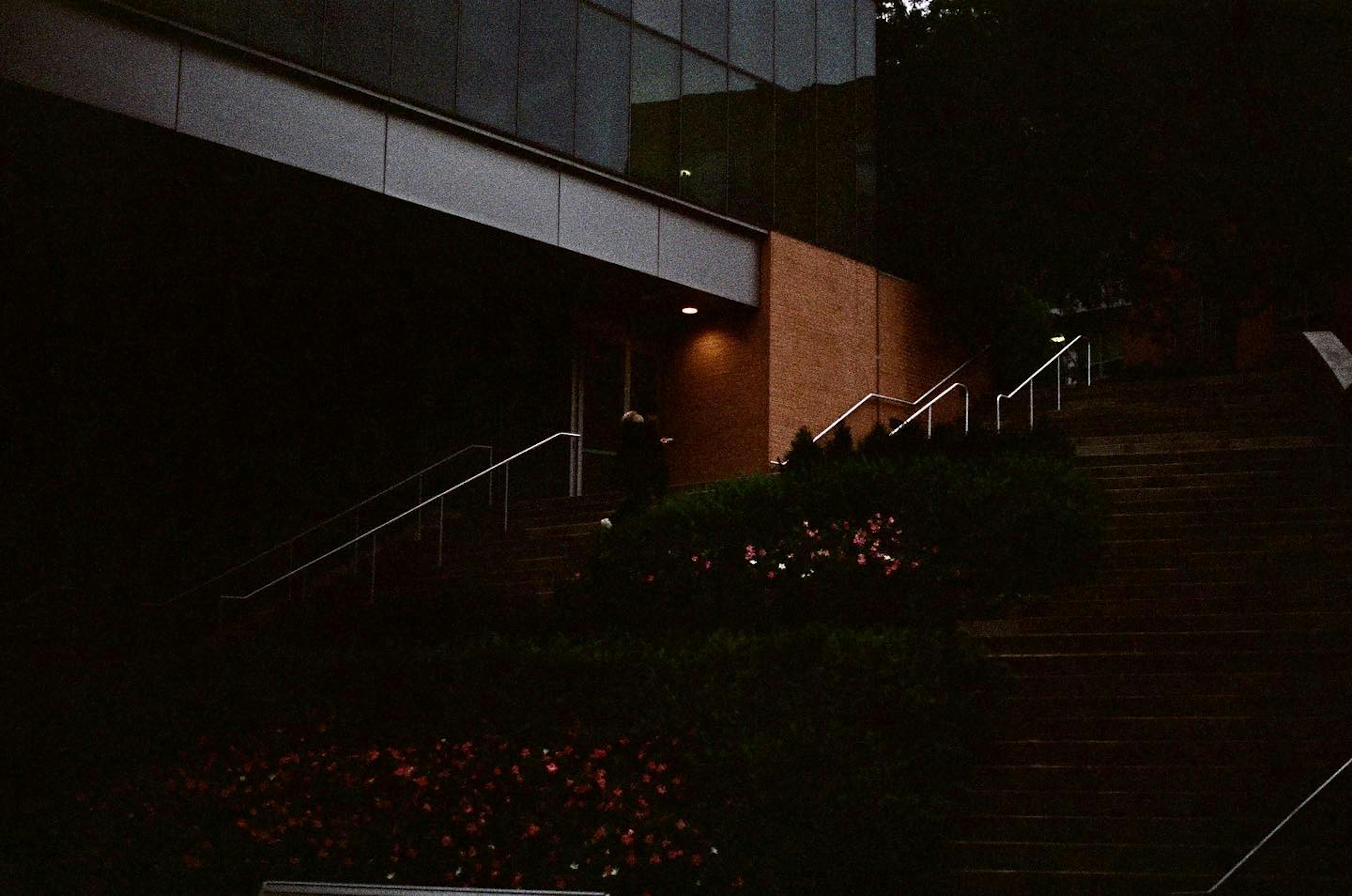 A man riding a skateboard down a flight of stairs photo – Free Banister ...