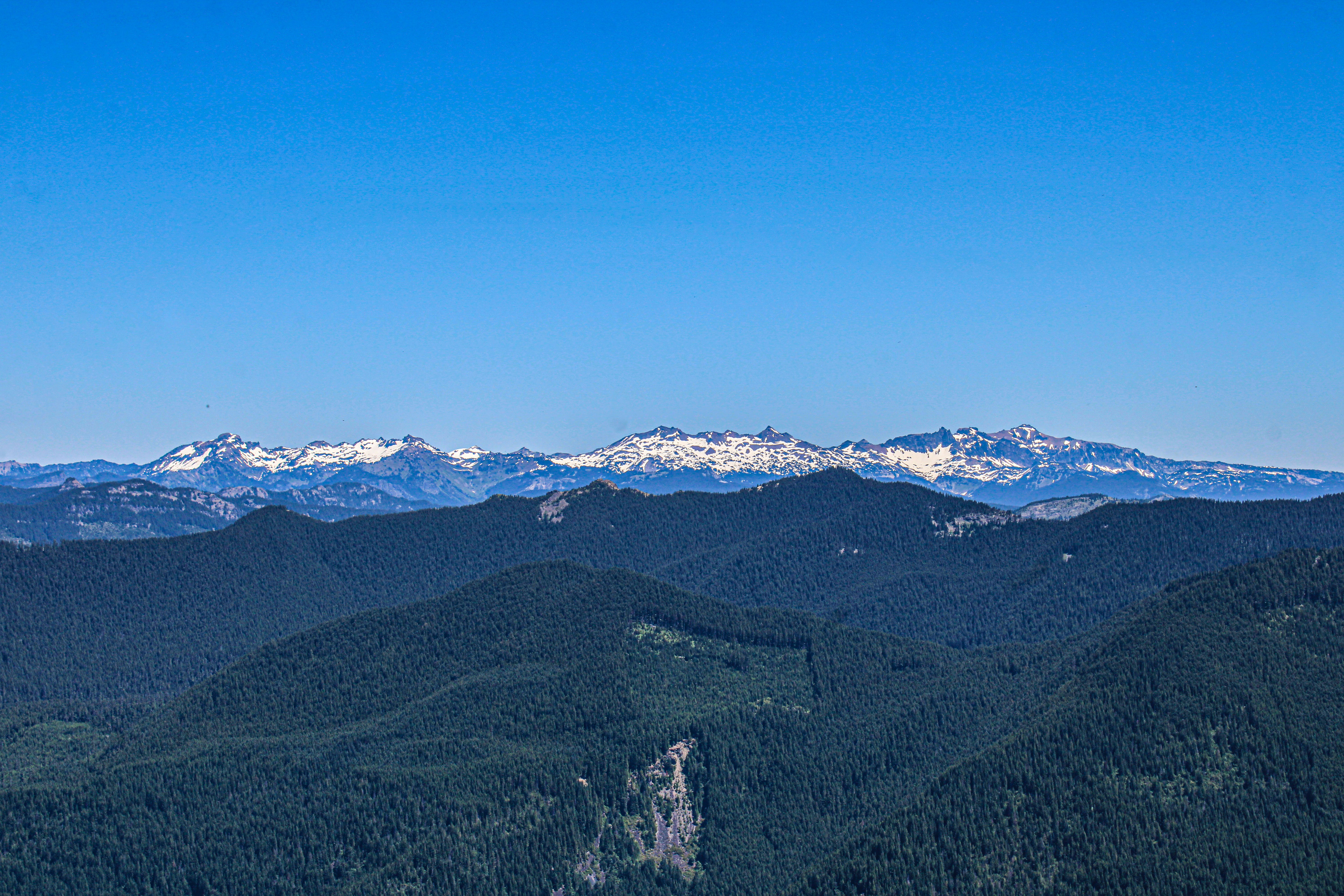 Snow-Capped Ridge Framing a Quiet Forest Horizon