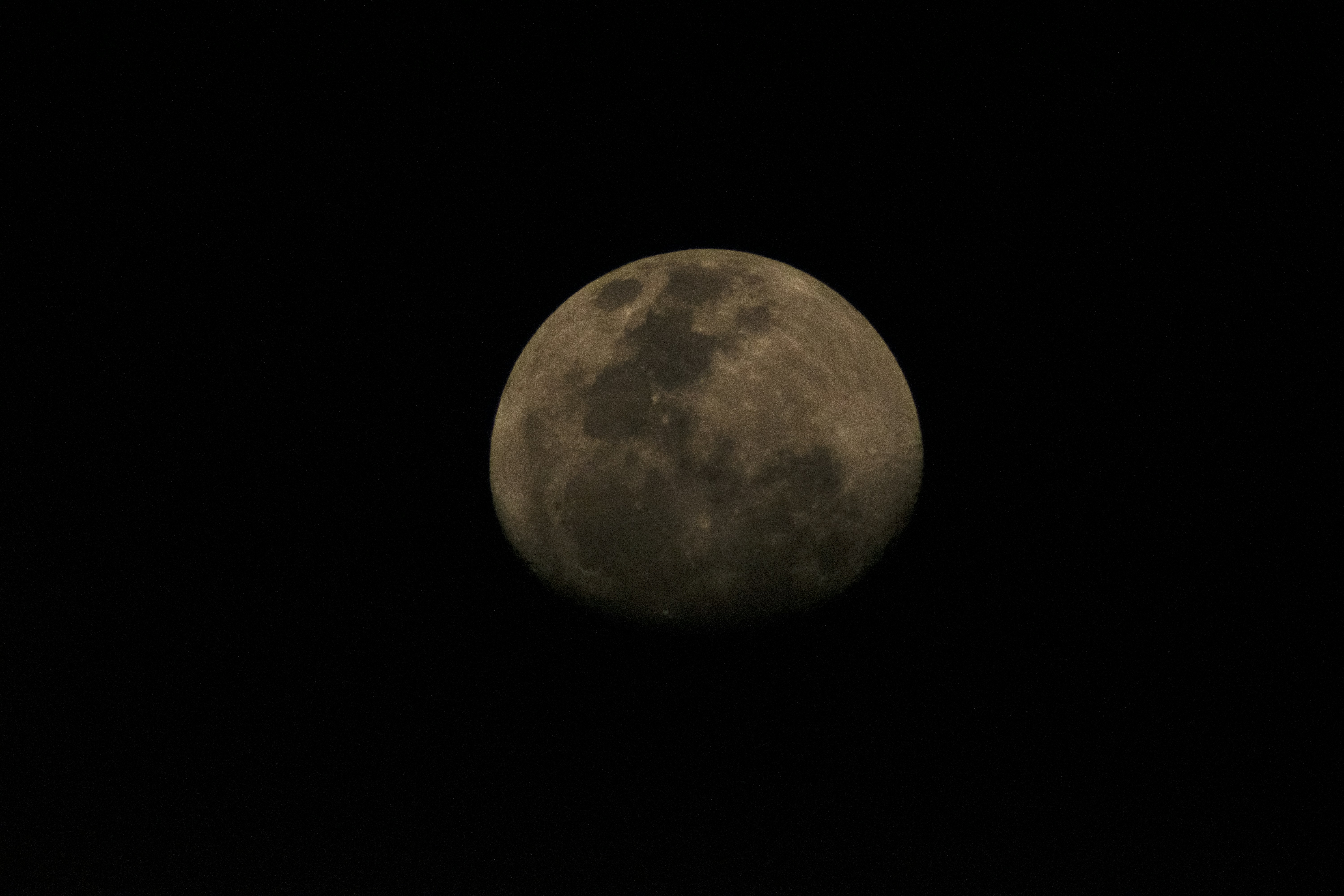 Low Moon, High Contrast: The Crescent Emerges in Night