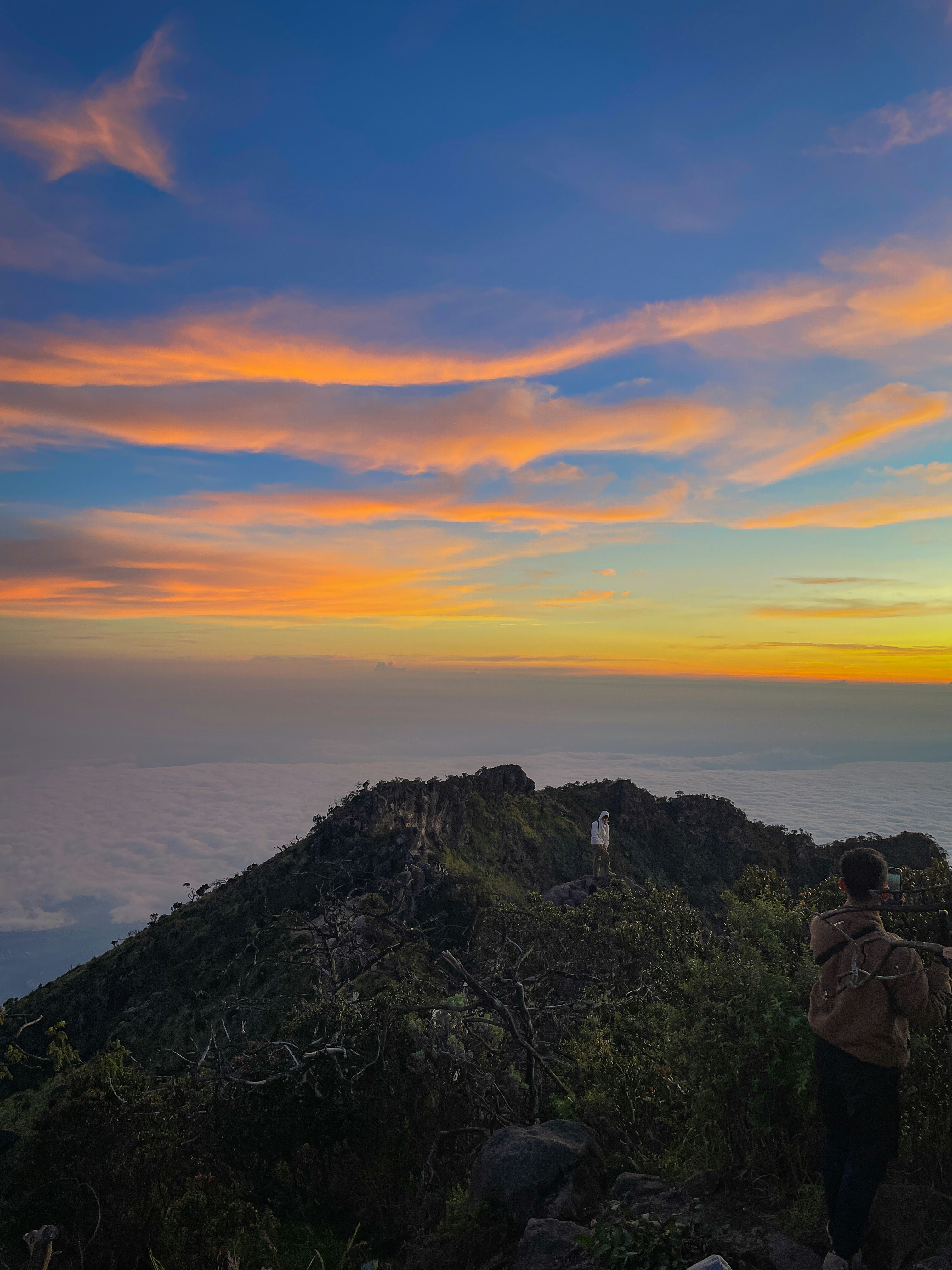 Whispers of the Horizon at Dusk