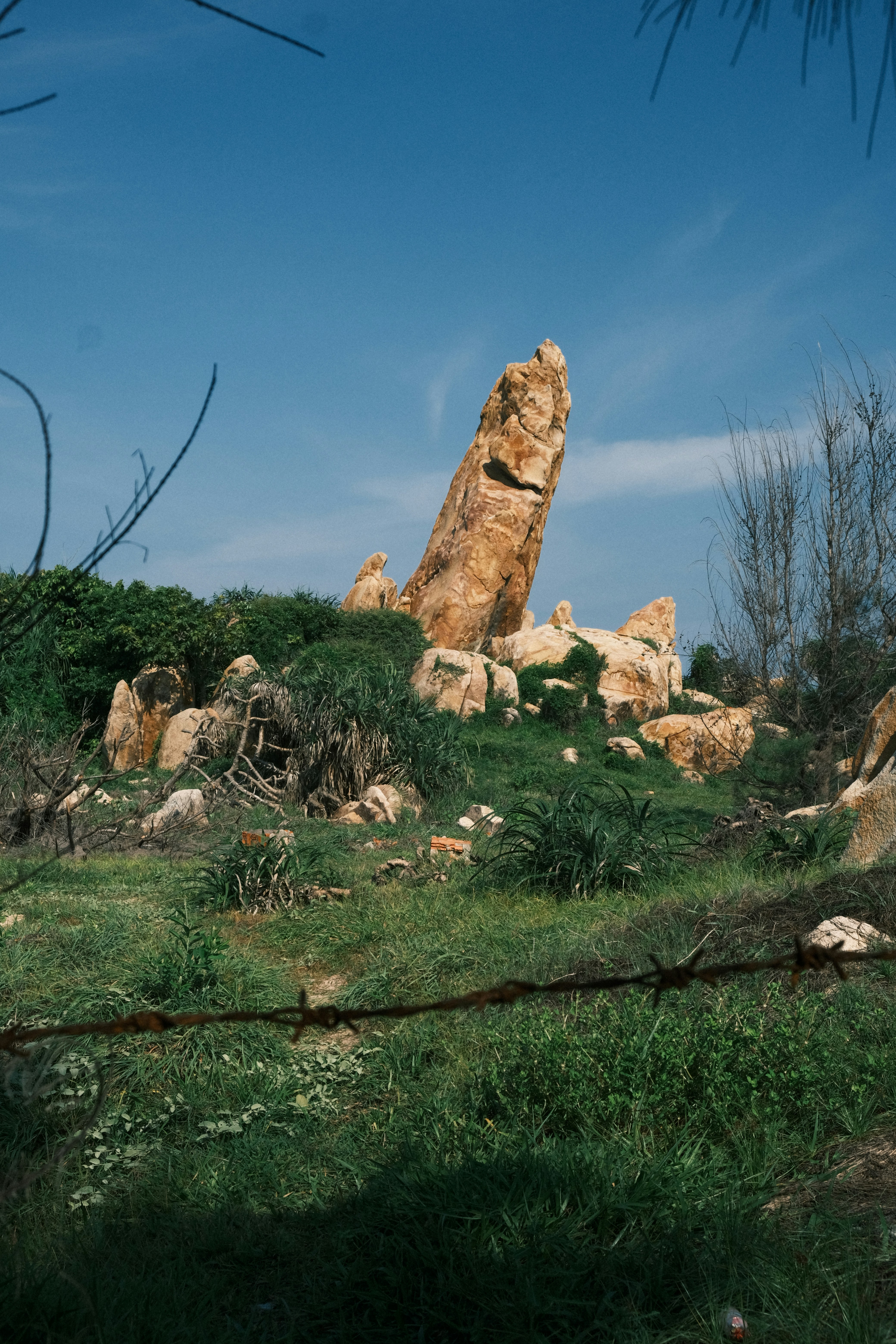 Sentinel Rock Looms Over a Green Field Under a Clear Blue Sky