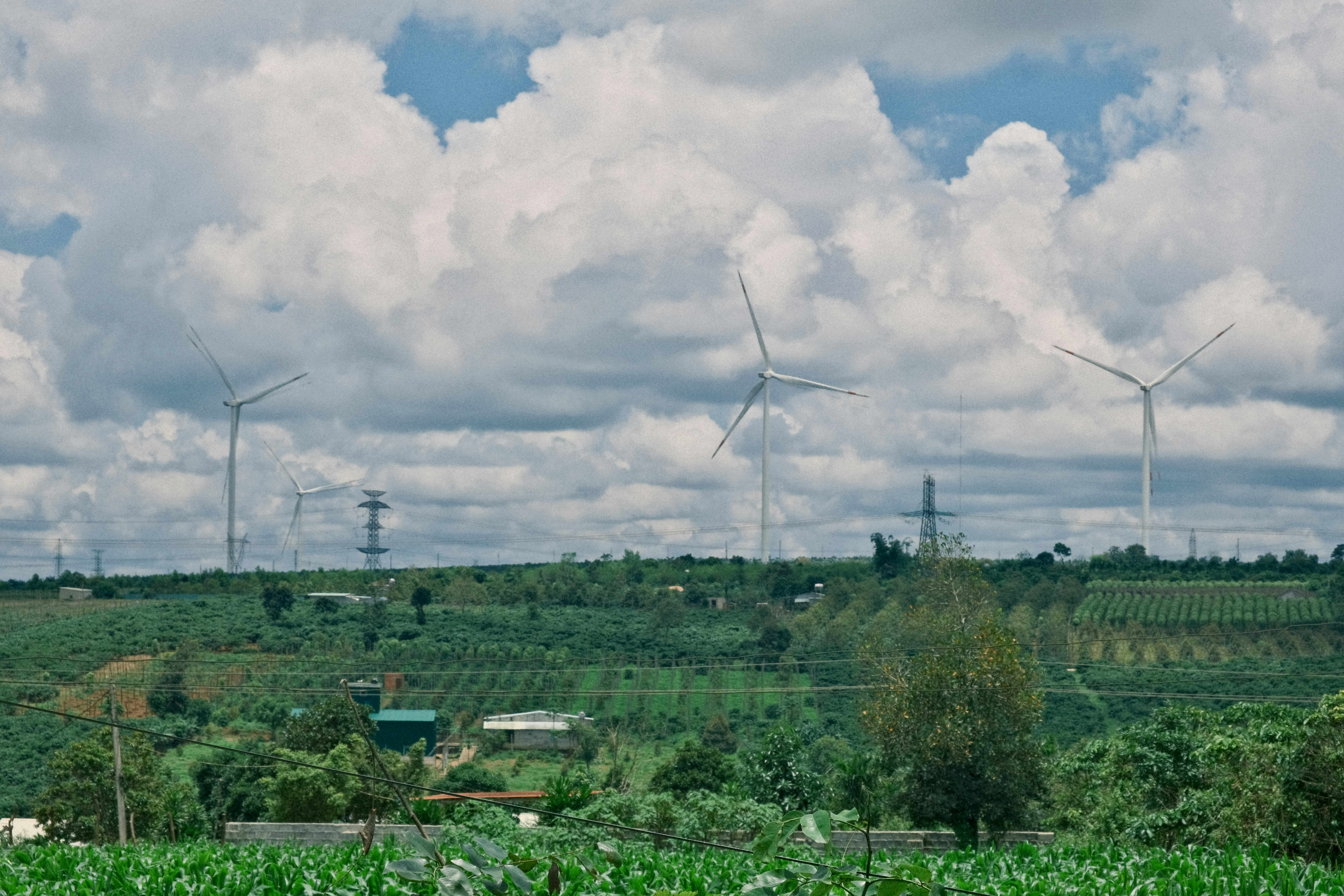 Wind Turbines Over Green Fields Under a Puffy Sky