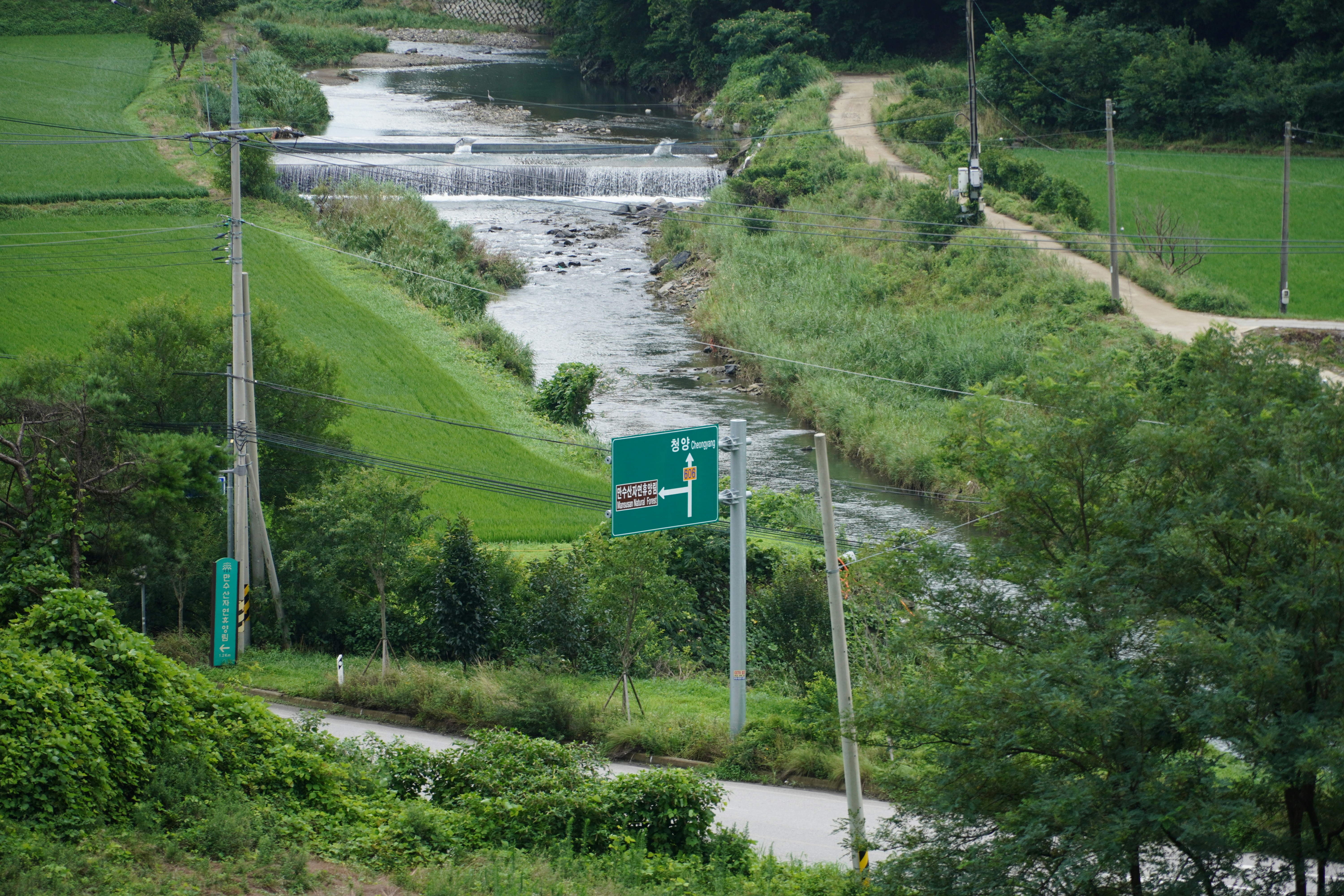 Verdant Valley Signpost by a Meandering River