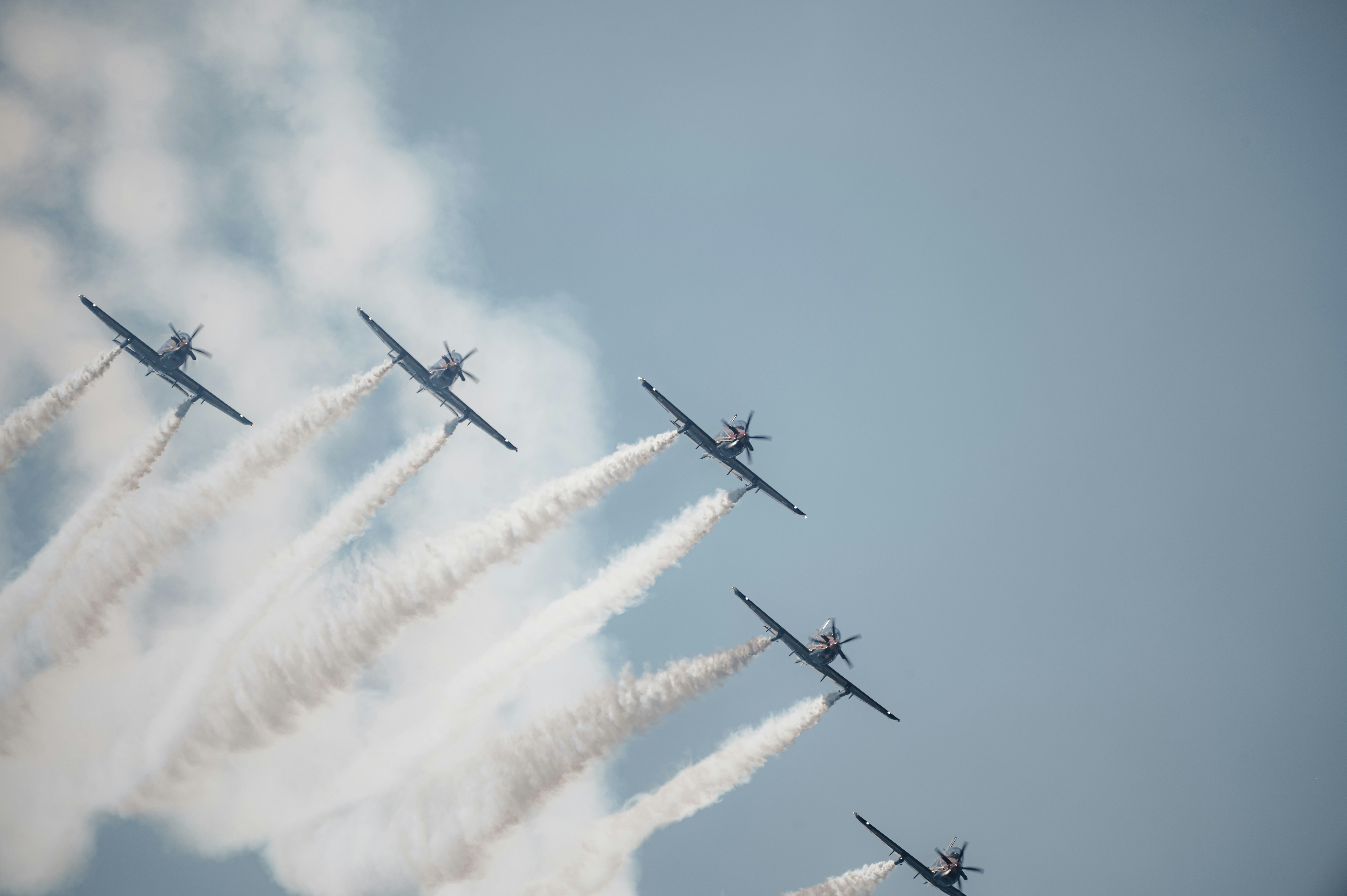 A group of planes flying in formation in the sky photo – Free Animal ...